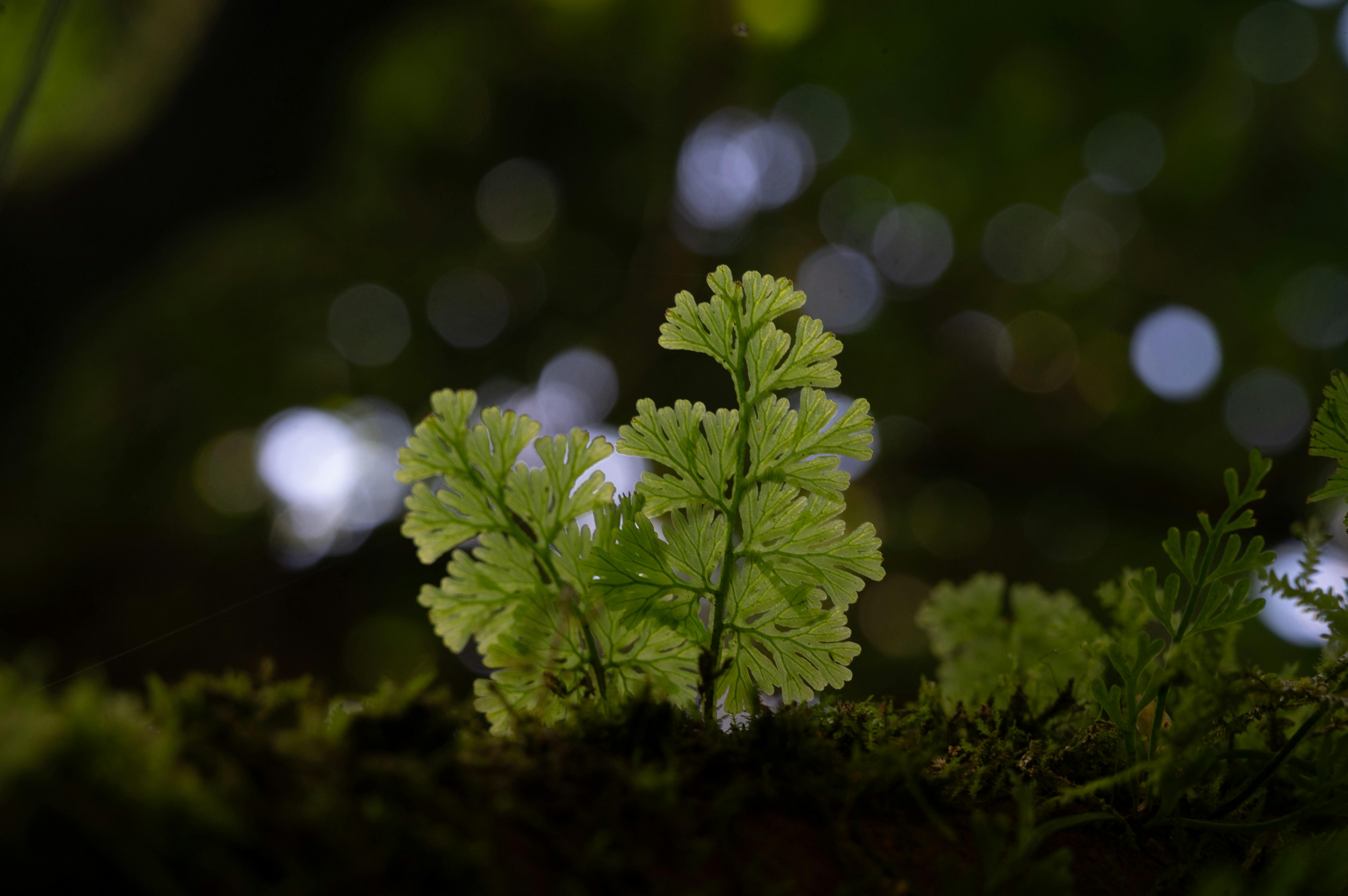 Stretch Wallpaper Photos, Download The BEST Free Stretch Wallpaper ...