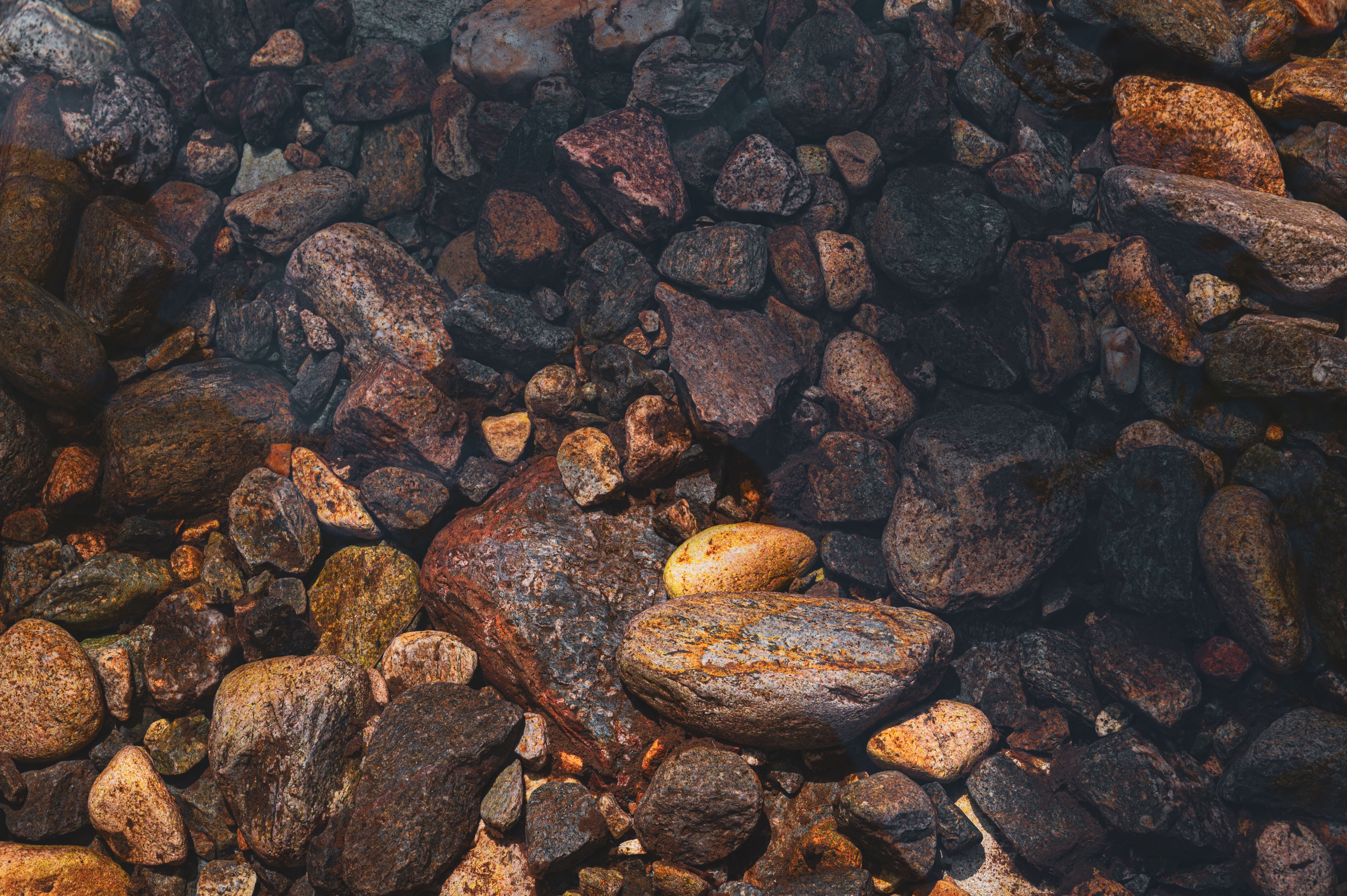 Scenic Riverbed with Colorful Rocks · Free Stock Photo