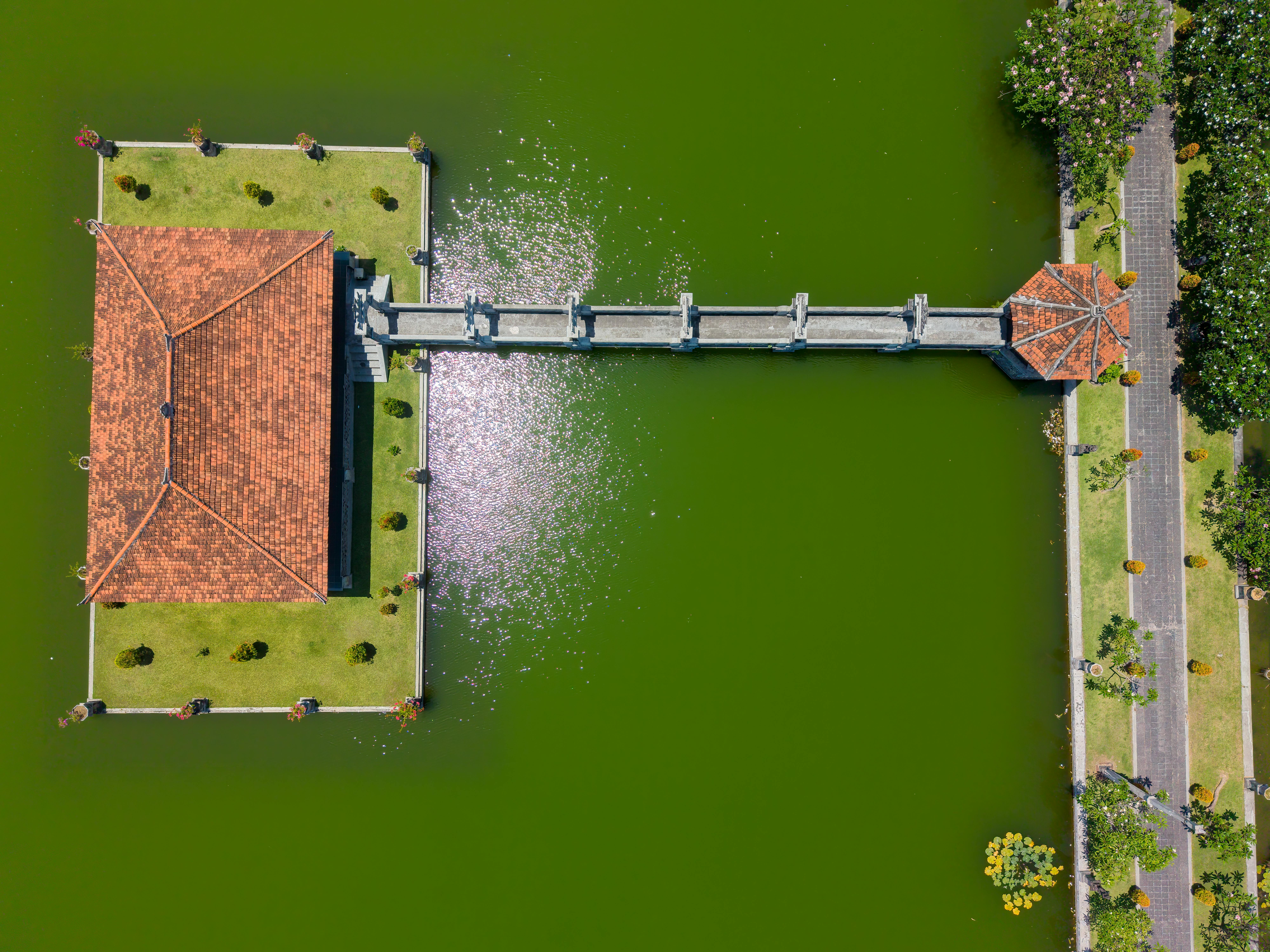 Clash+Royale+Pfp Photos, Download The BEST Free Clash+Royale+Pfp Stock ...