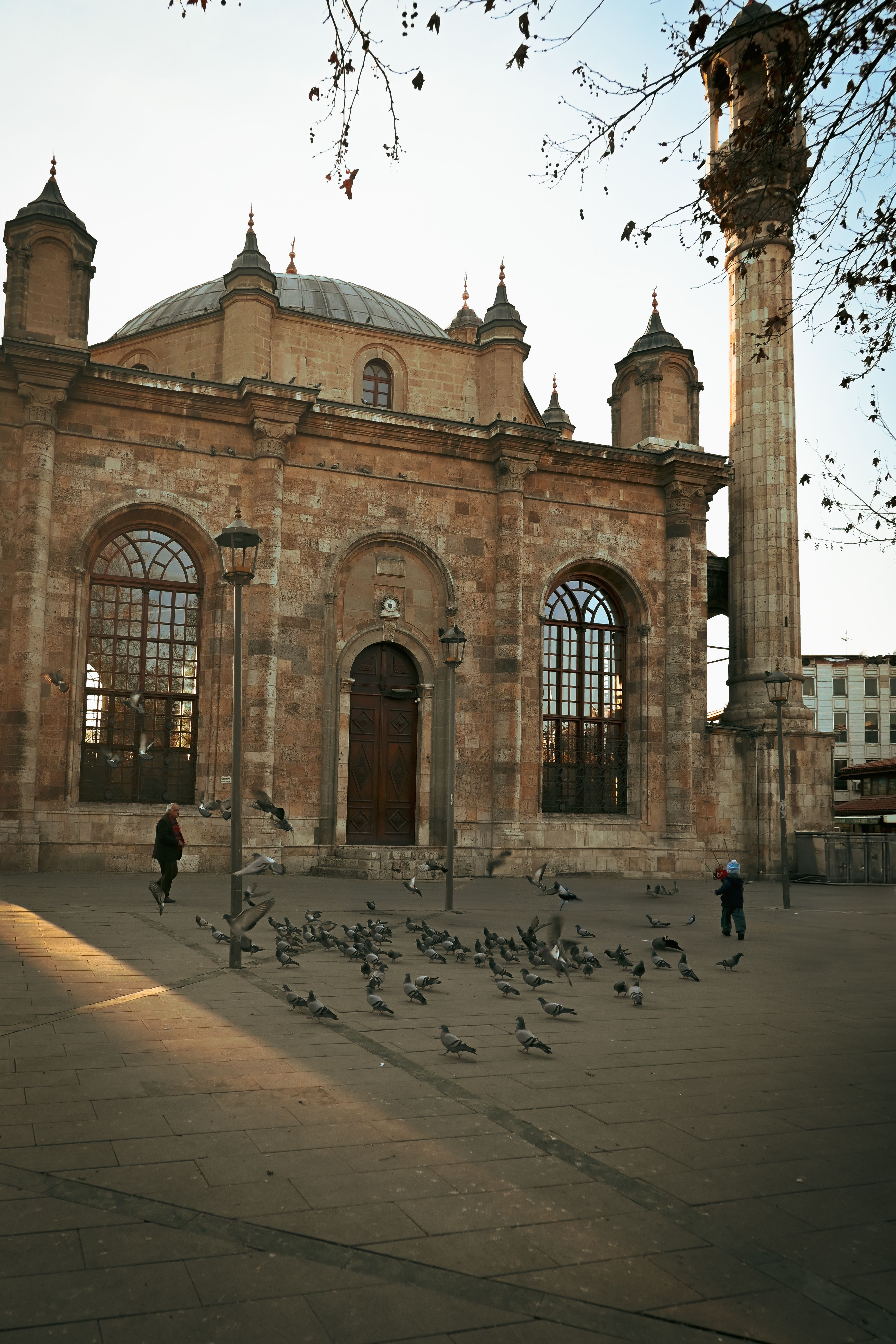 Historic Mosque with Pigeons in Türkiye · Free Stock Photo