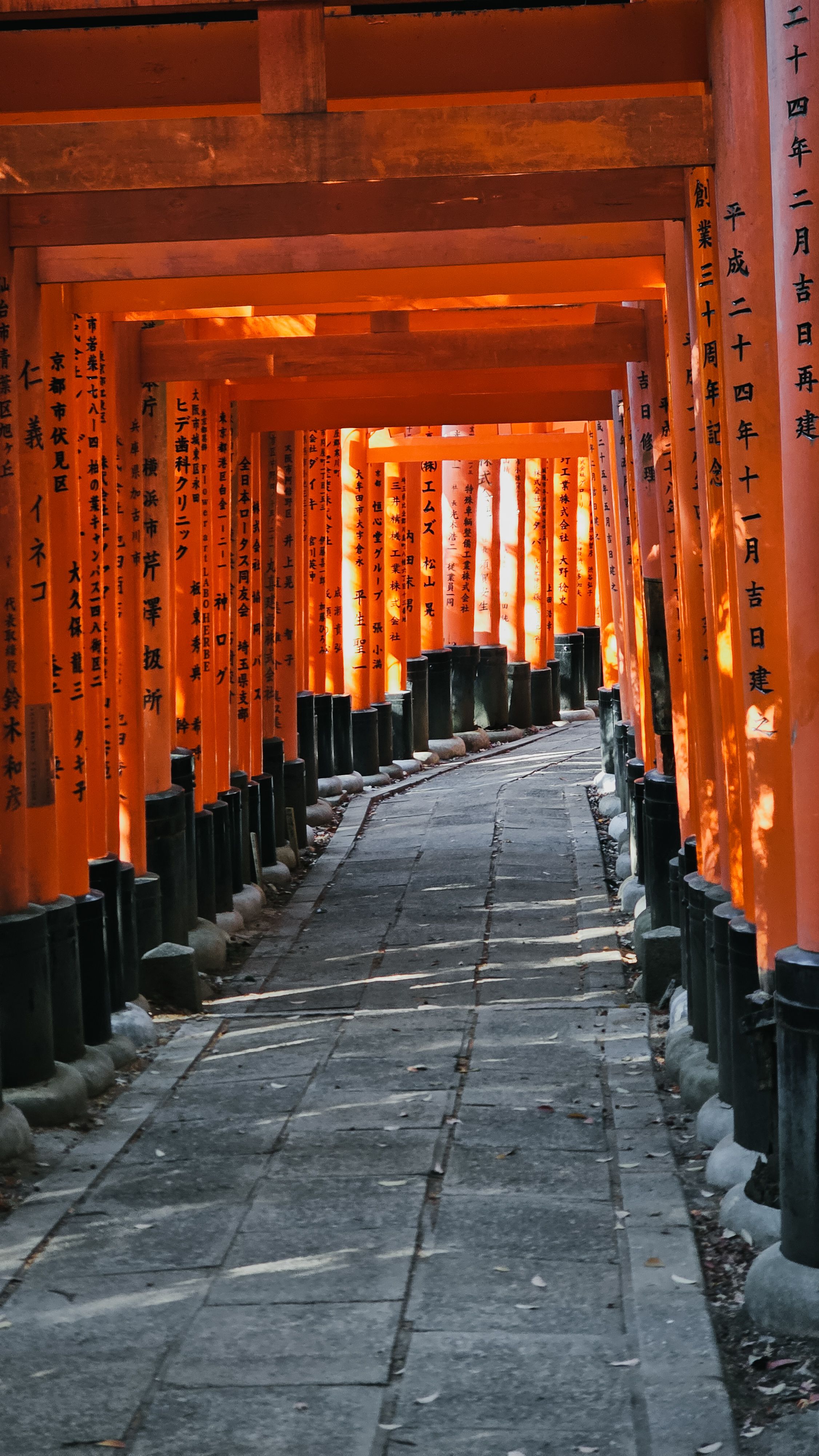Fushimi Inari Shrine Torii Gate Pathway · Free Stock Photo