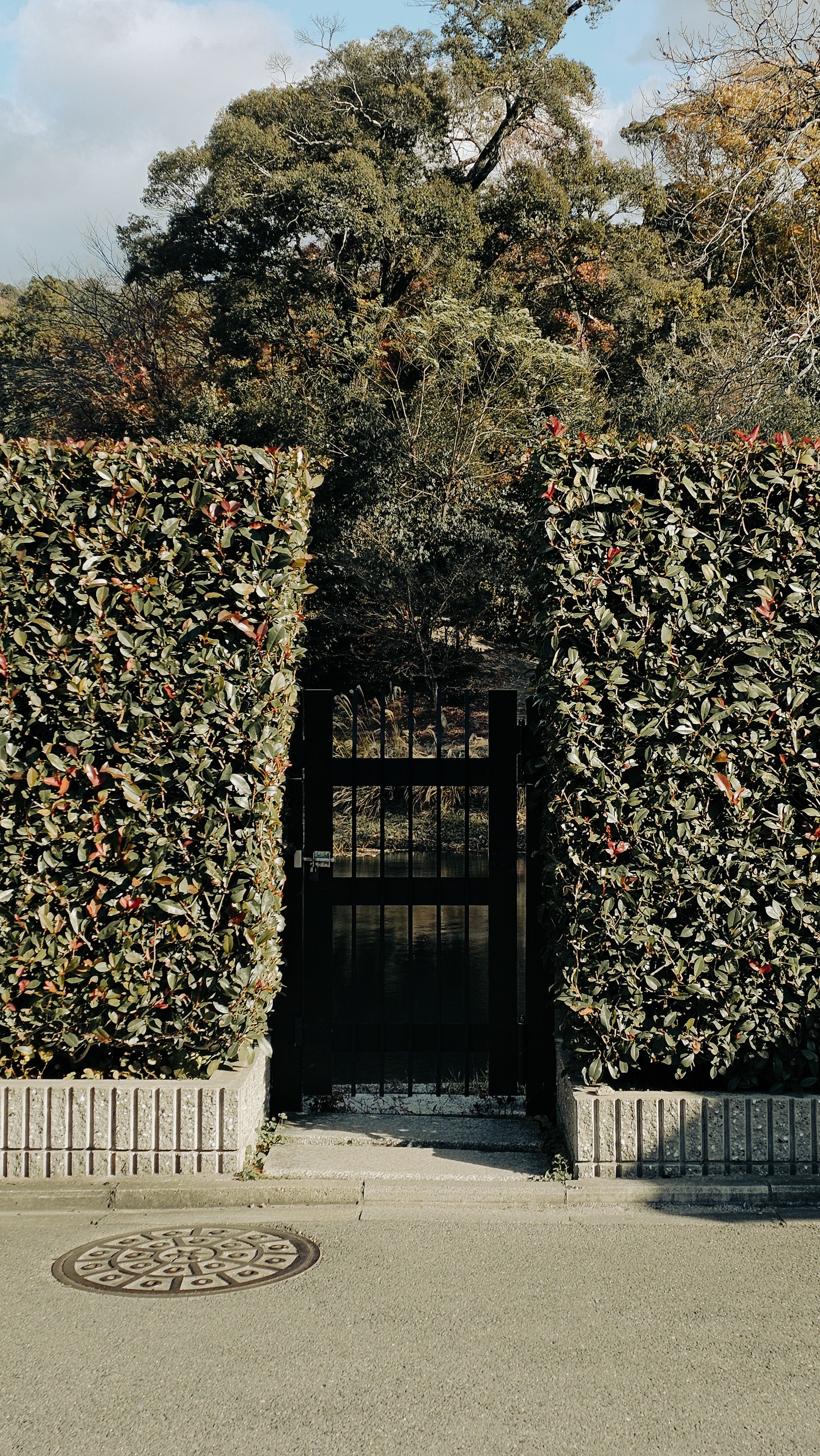 Garden Gate Leading to a Scenic Park · Free Stock Photo