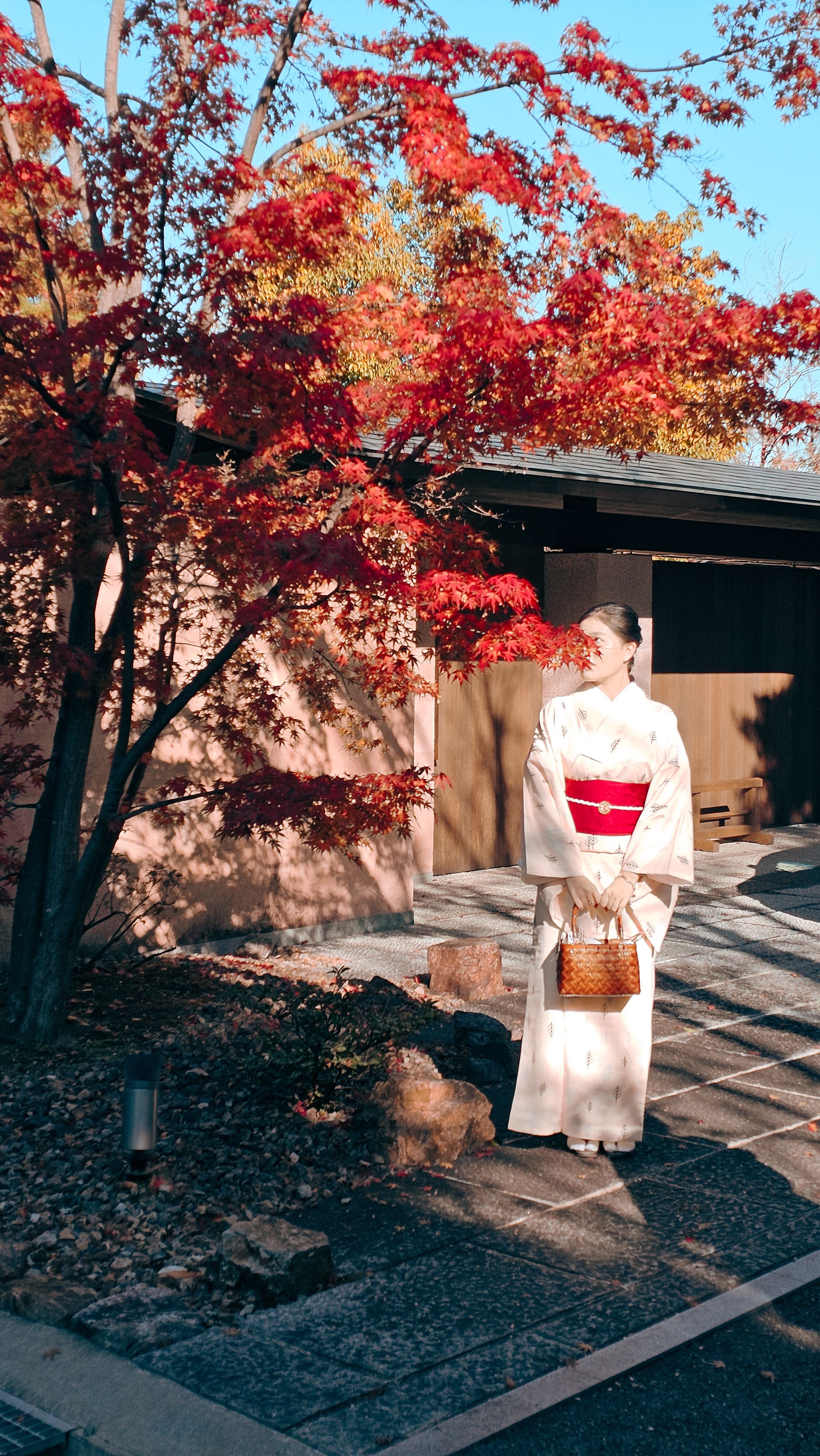 Japanese Bending Photos, Download The BEST Free Japanese Bending Stock ...