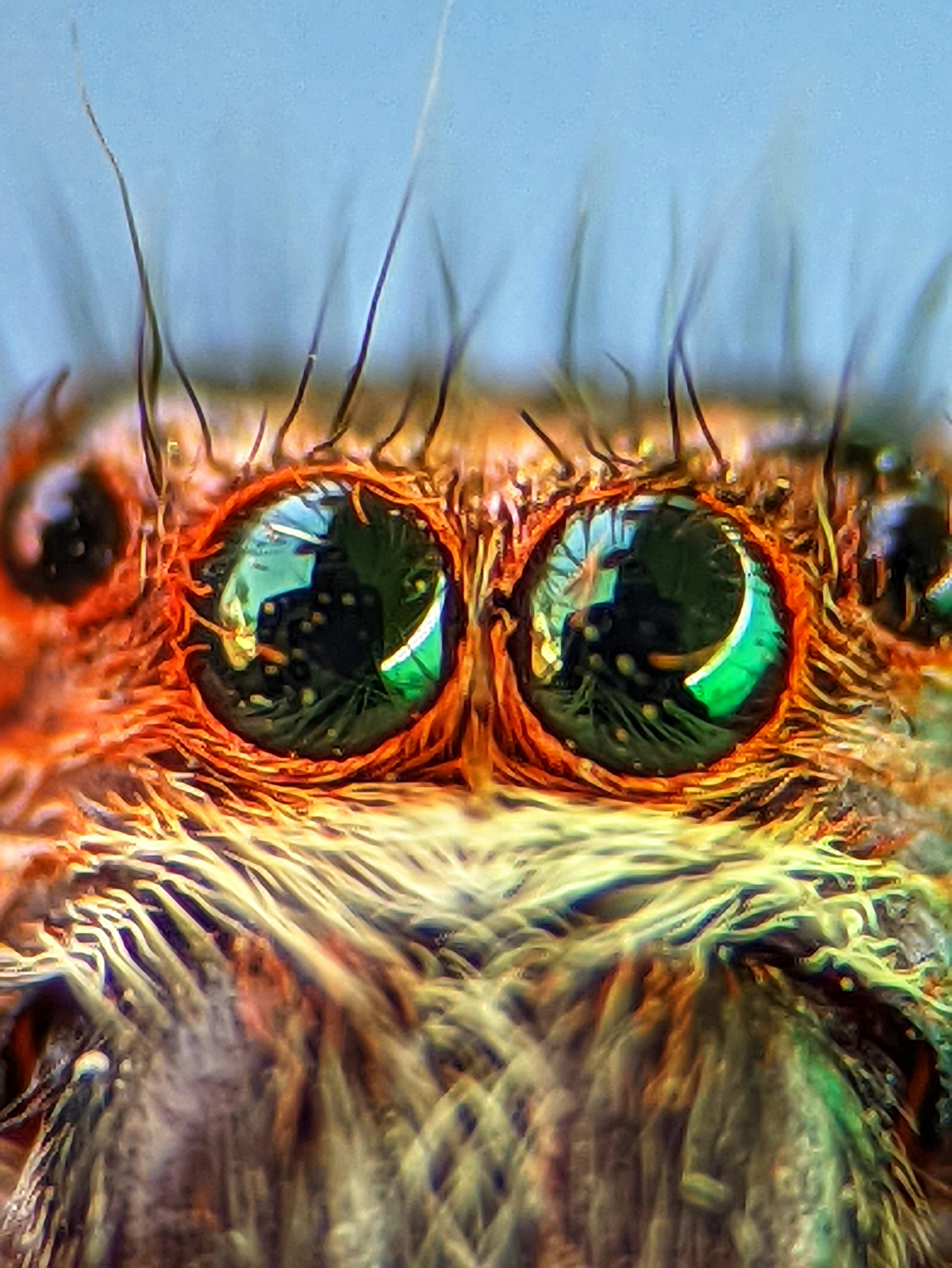 Micro+Bikinis+Gifs Photos, Download The BEST Free Micro+Bikinis+Gifs ...