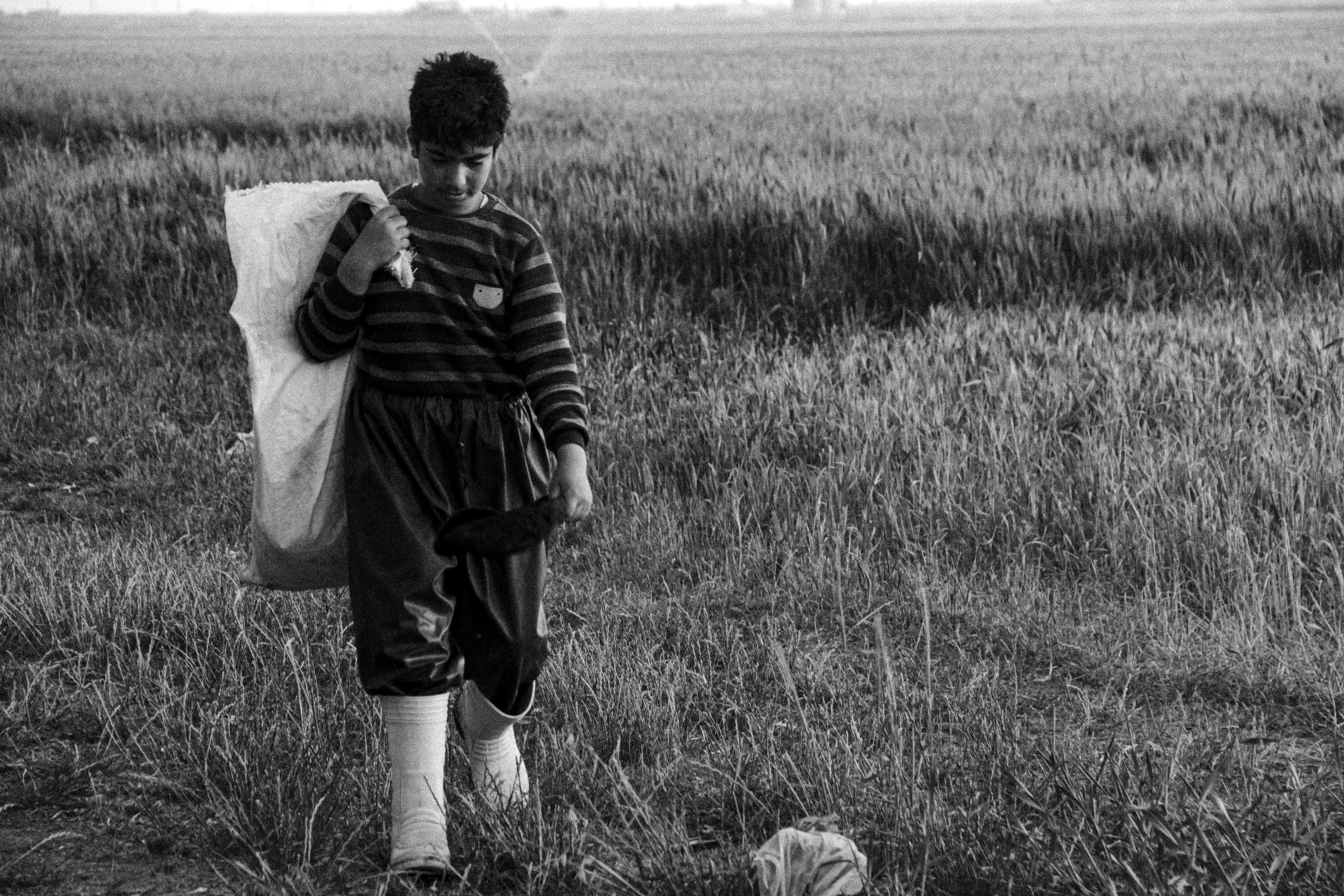 Felix Stray Kids Photos, Download The BEST Free Felix Stray Kids Stock ...