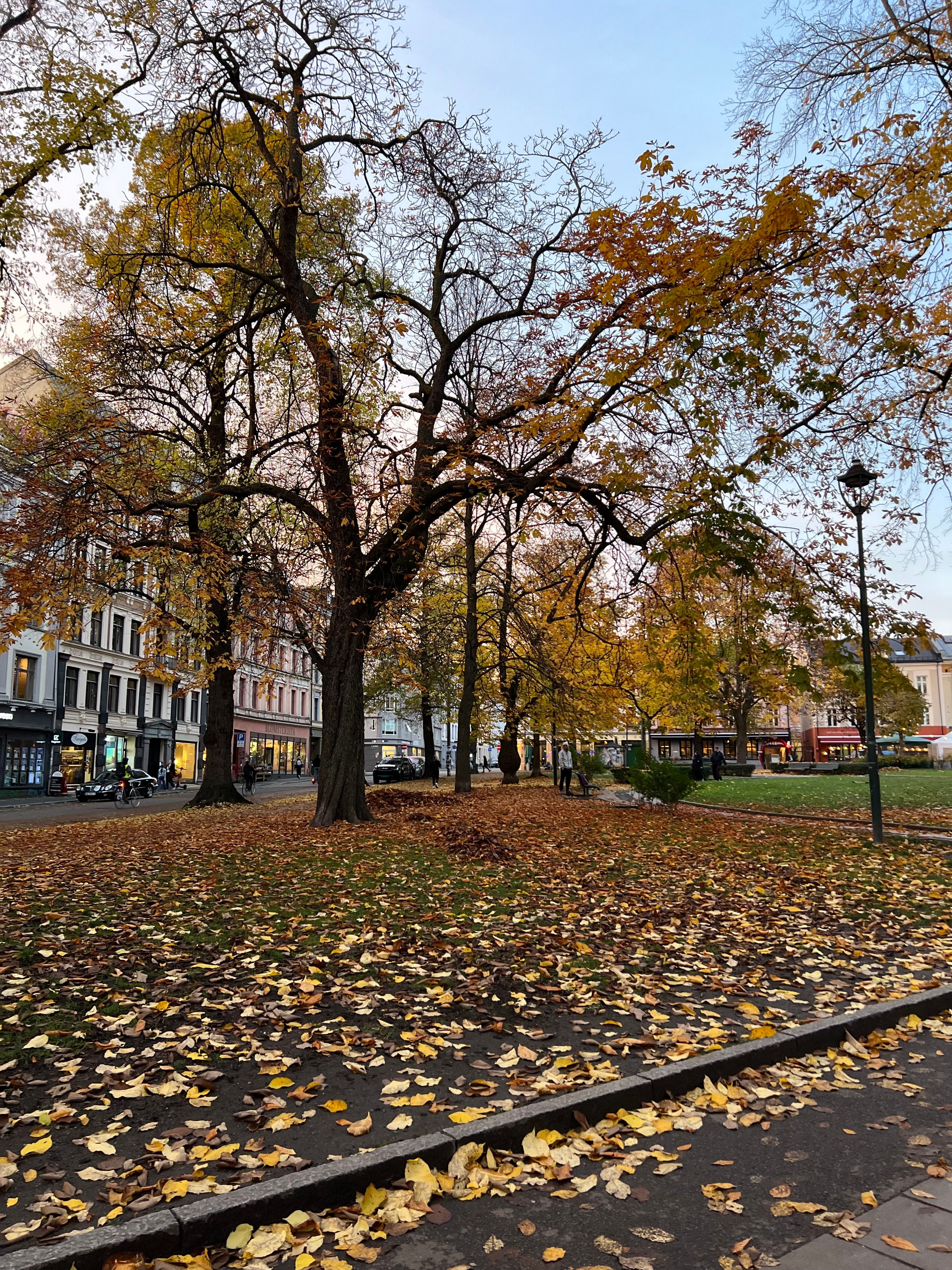 Serene Autumn Scene in Oslo's Vigeland Park · Free Stock Photo