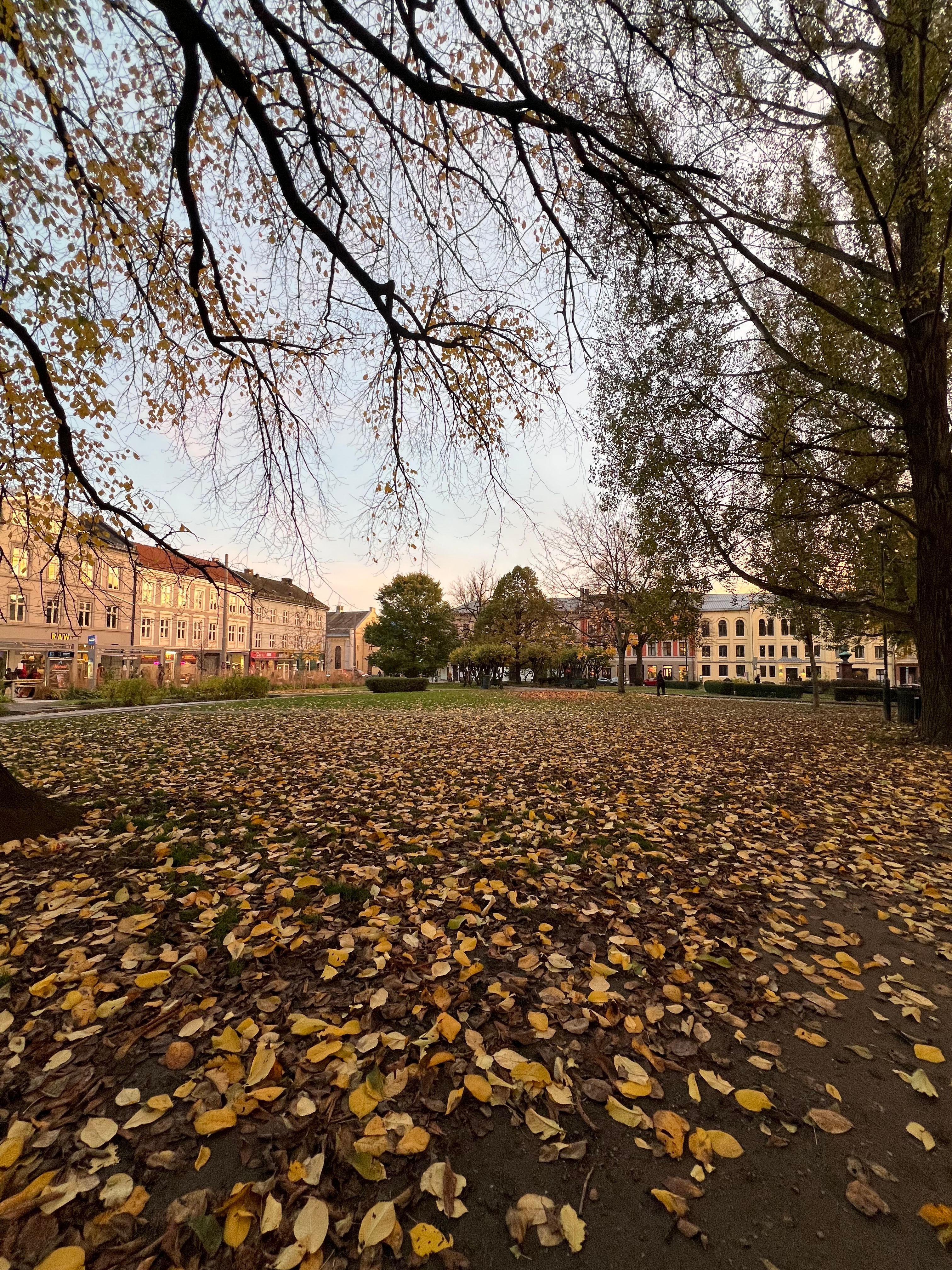 Scenic Autumn Park in Oslo with Historic Buildings · Free Stock Photo