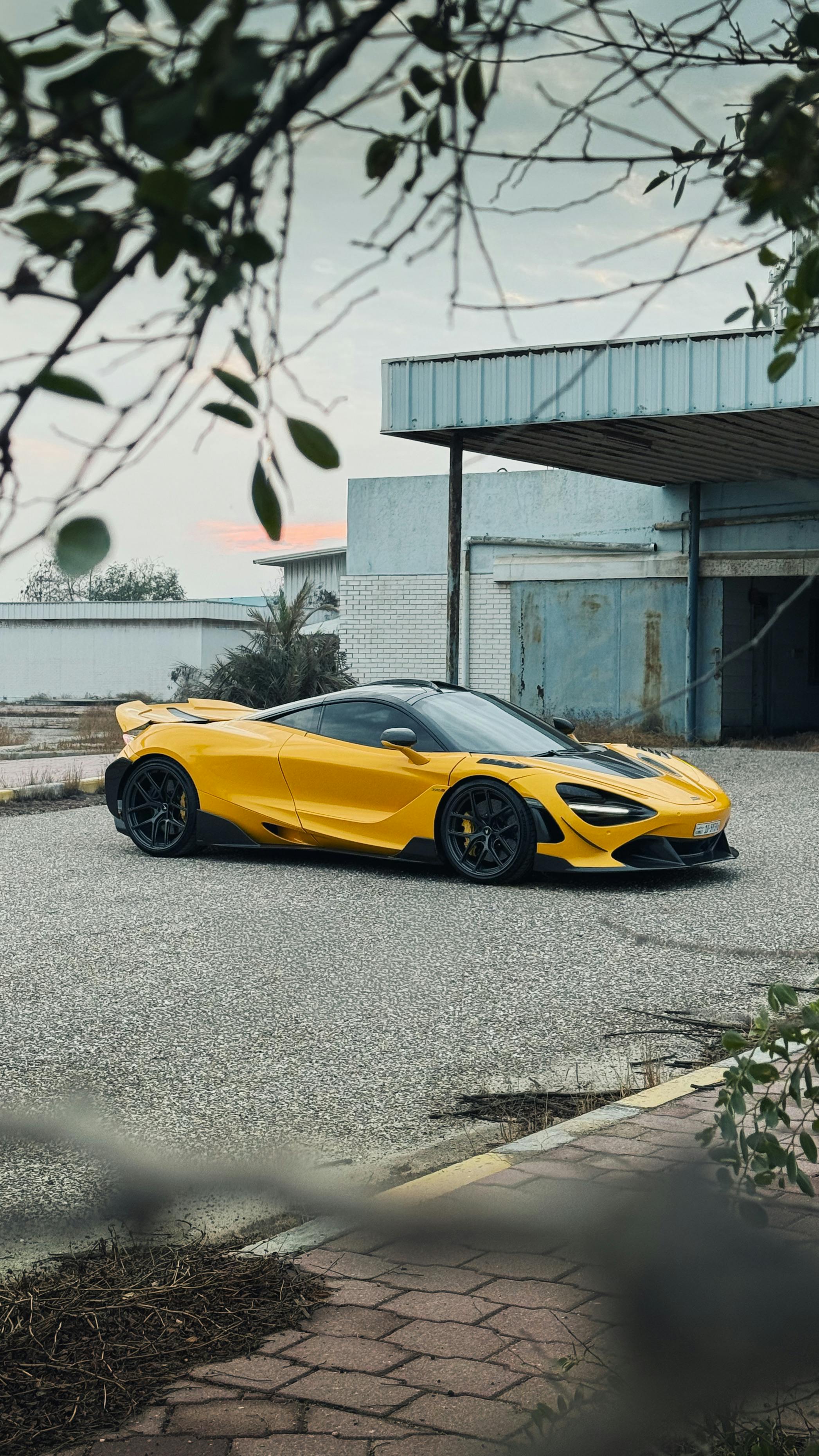 Cute+Drawings+Without+Colour Photos, Download The BEST Free Cute ...