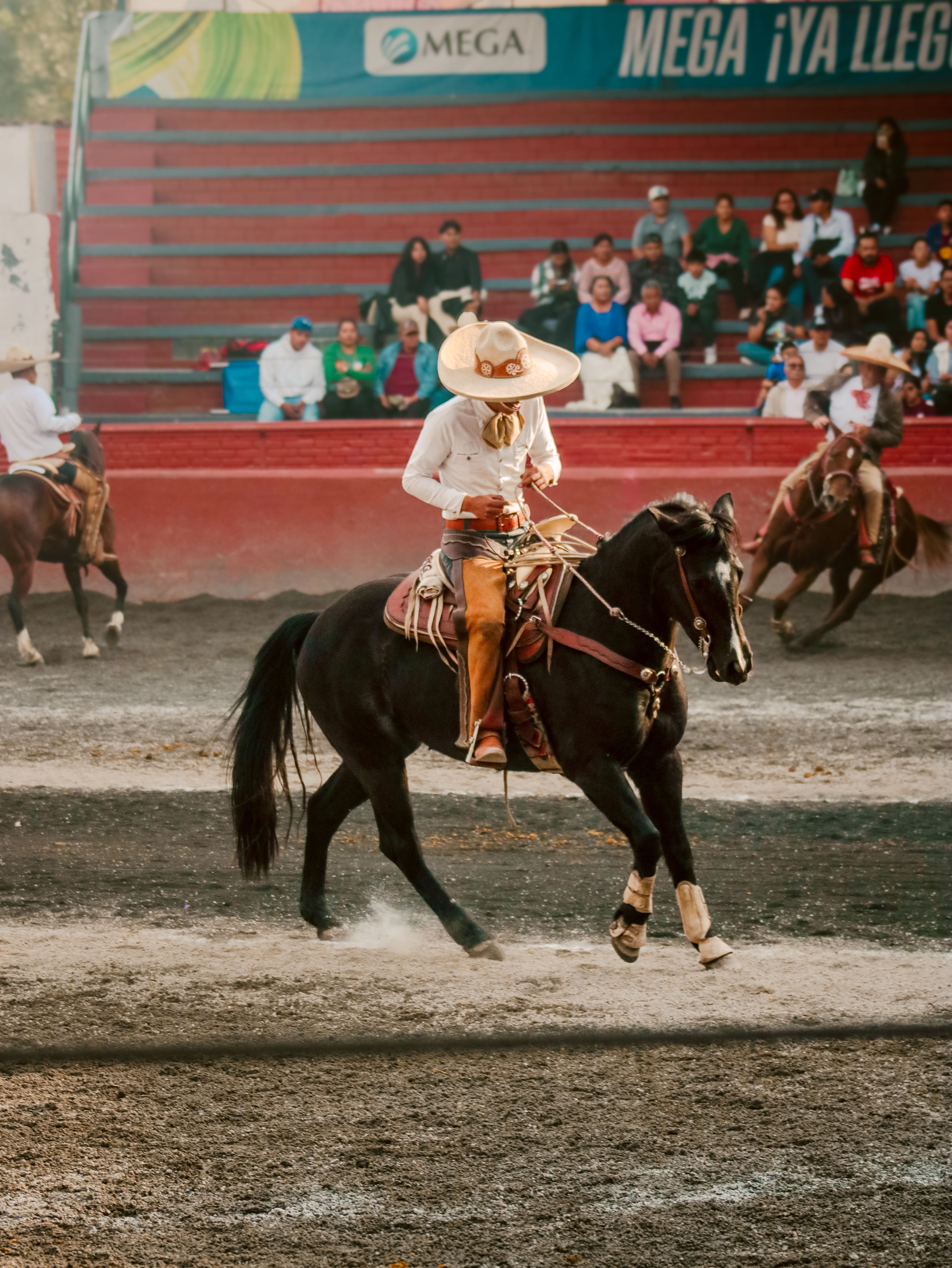 Diana Rider Photos, Download The BEST Free Diana Rider Stock Photos ...