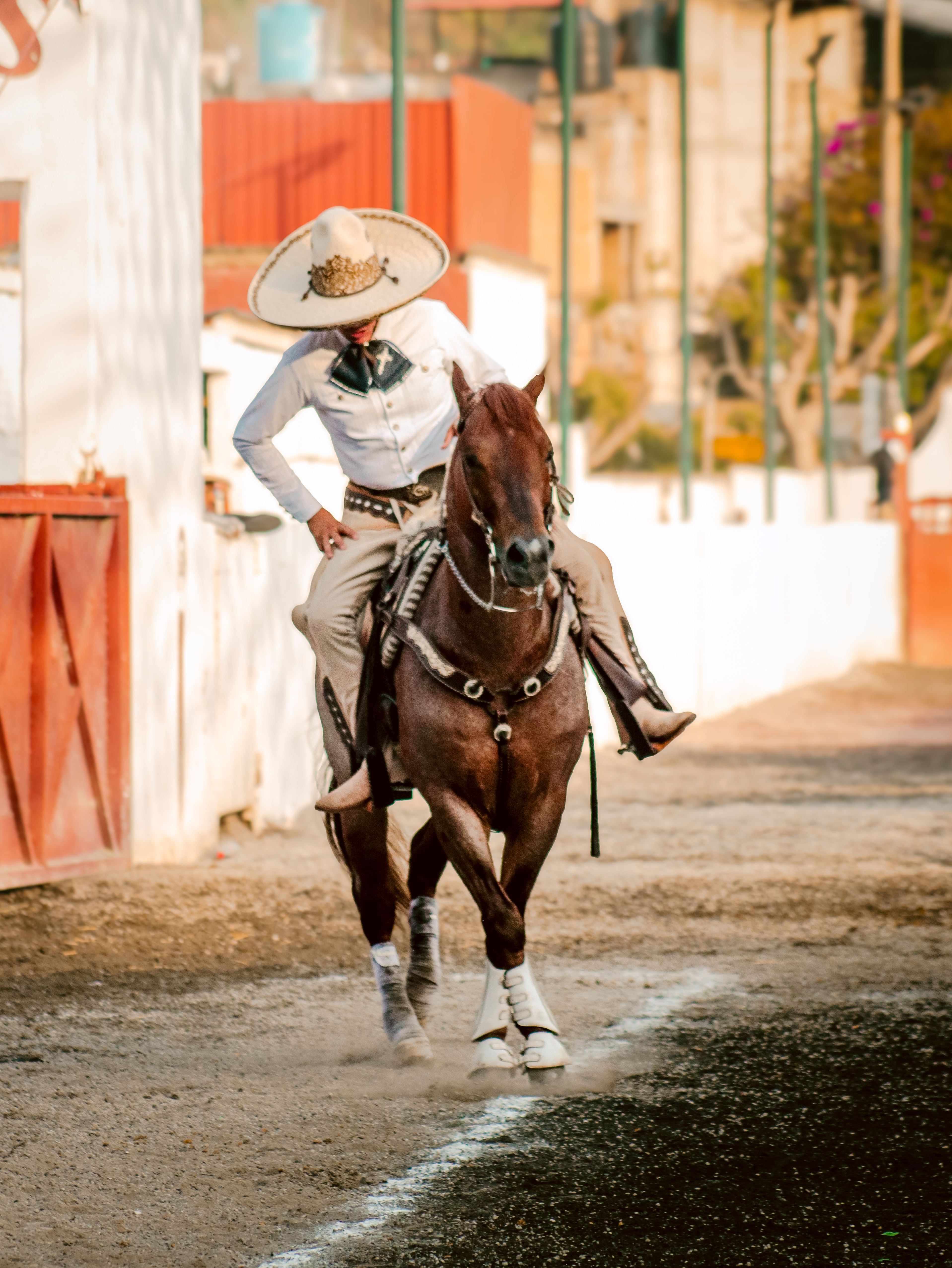 Diana Rider Photos, Download The BEST Free Diana Rider Stock Photos ...