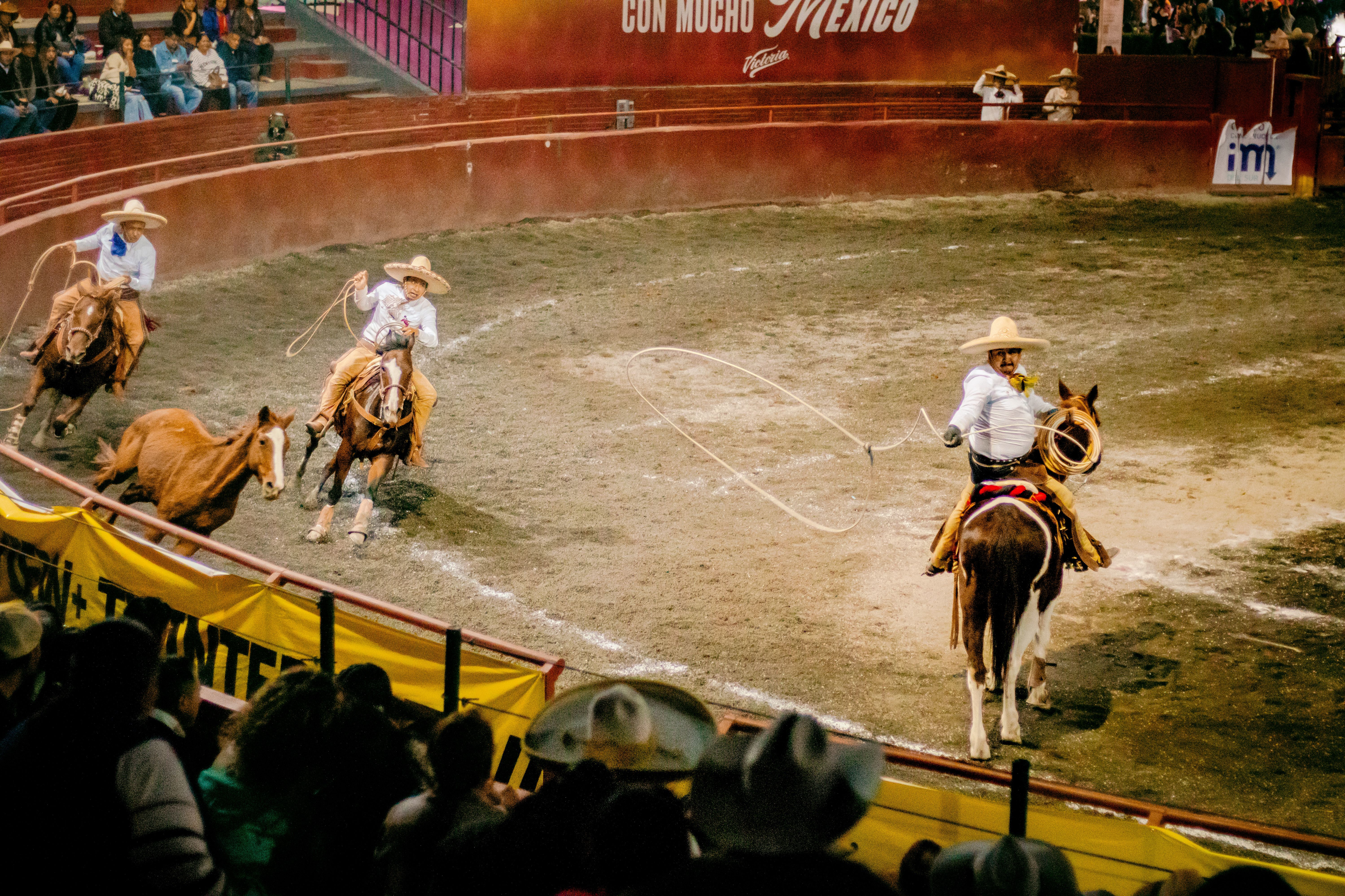 Cowboy Culture Photos, Download The BEST Free Cowboy Culture Stock ...