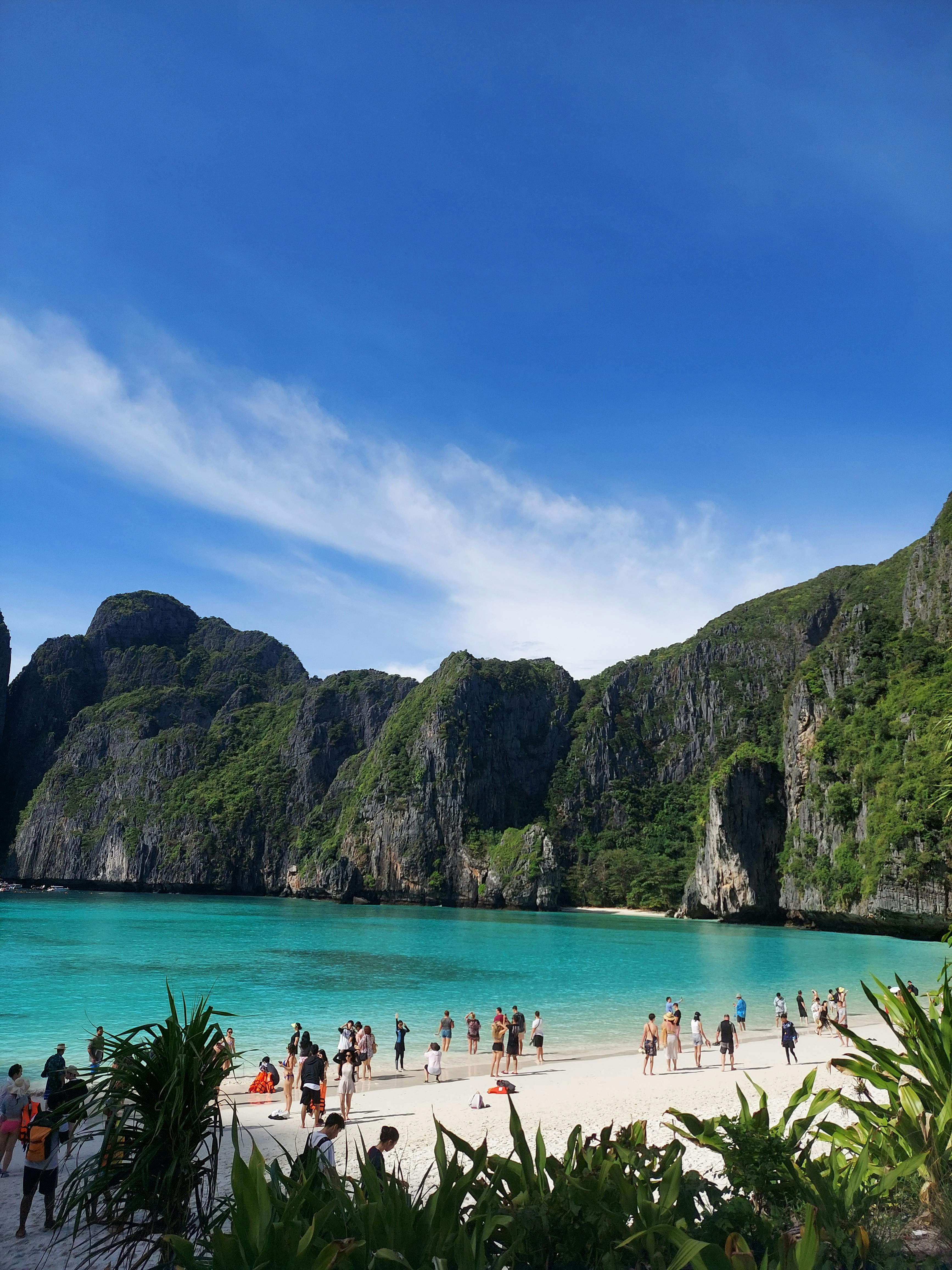 Fluorescent+Beach Photos, Download The BEST Free Fluorescent+Beach ...