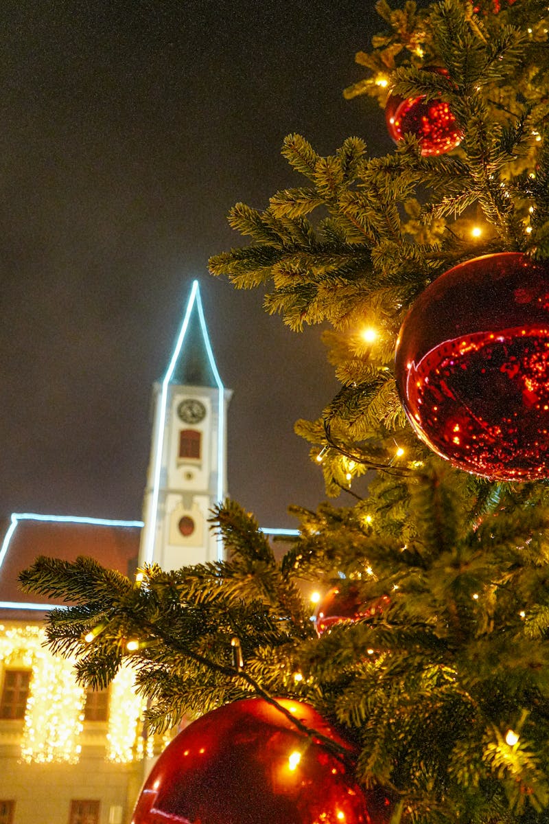 Christmas December Photos, Download The BEST Free Christmas December ...