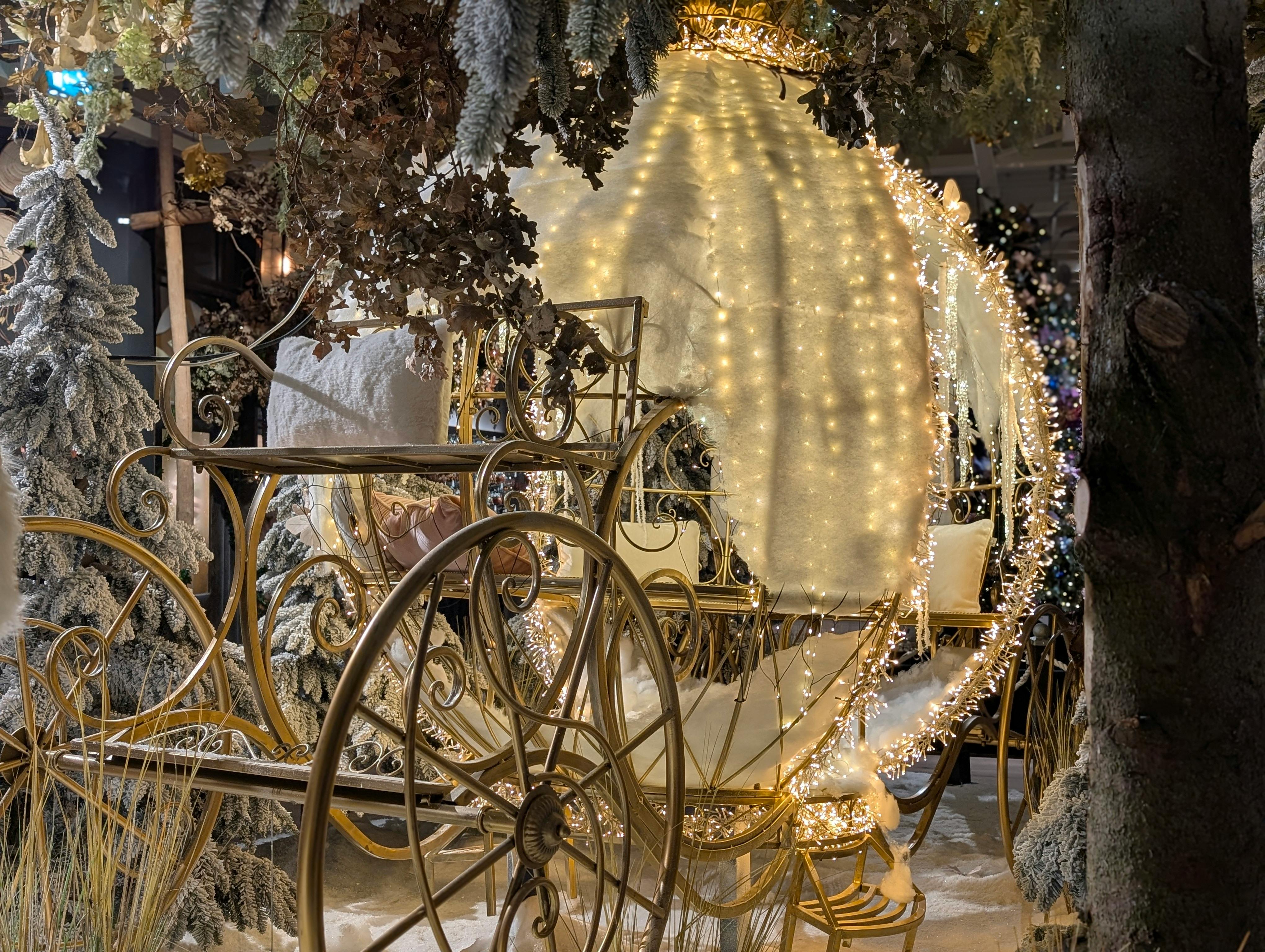 Enchanted Winter Carriage with Twinkling Lights · Free Stock Photo