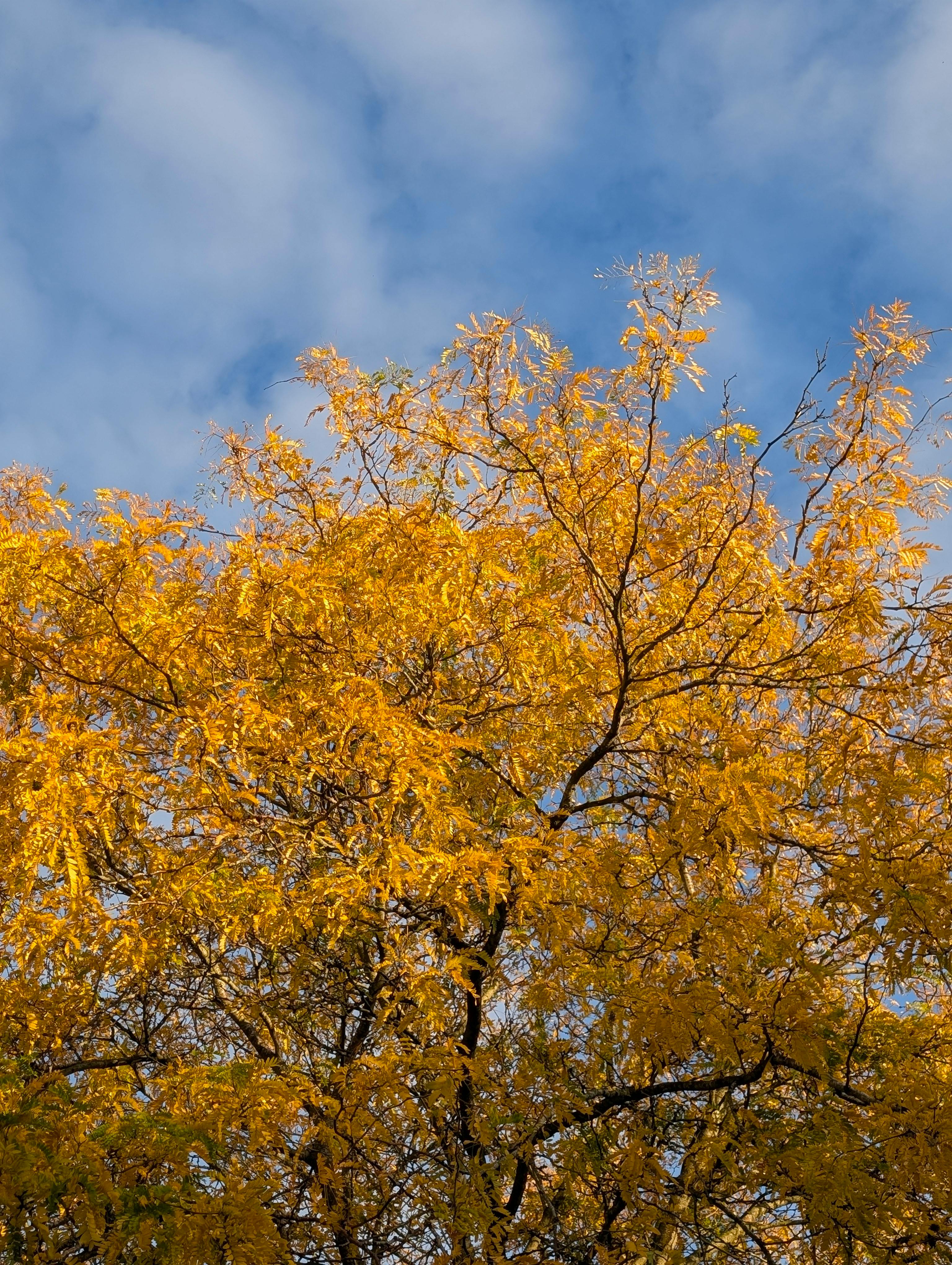 Colorful Scenery Photos, Download The BEST Free Colorful Scenery Stock ...