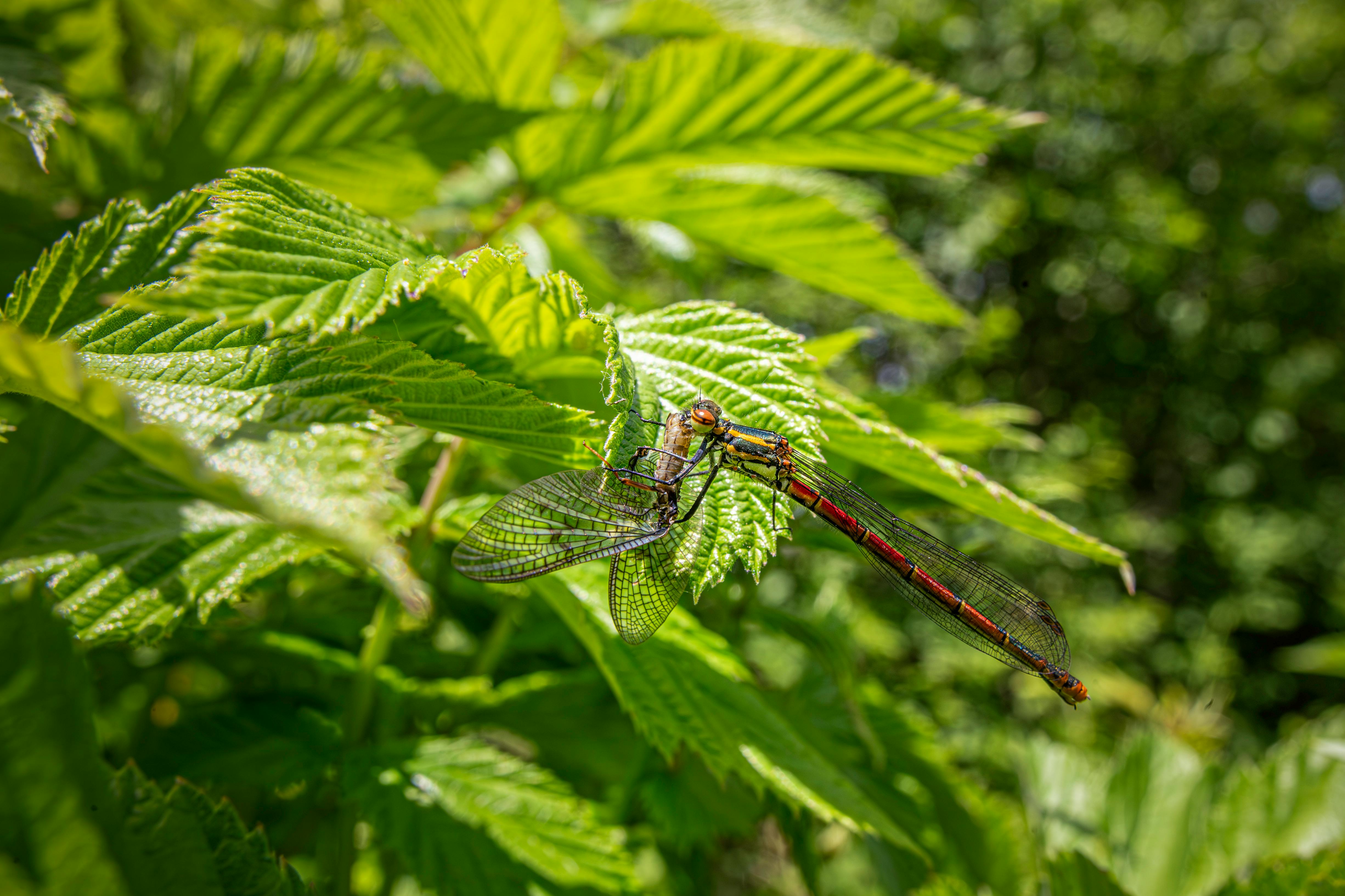 Lyrics Backgrounds Photos, Download The BEST Free Lyrics Backgrounds ...