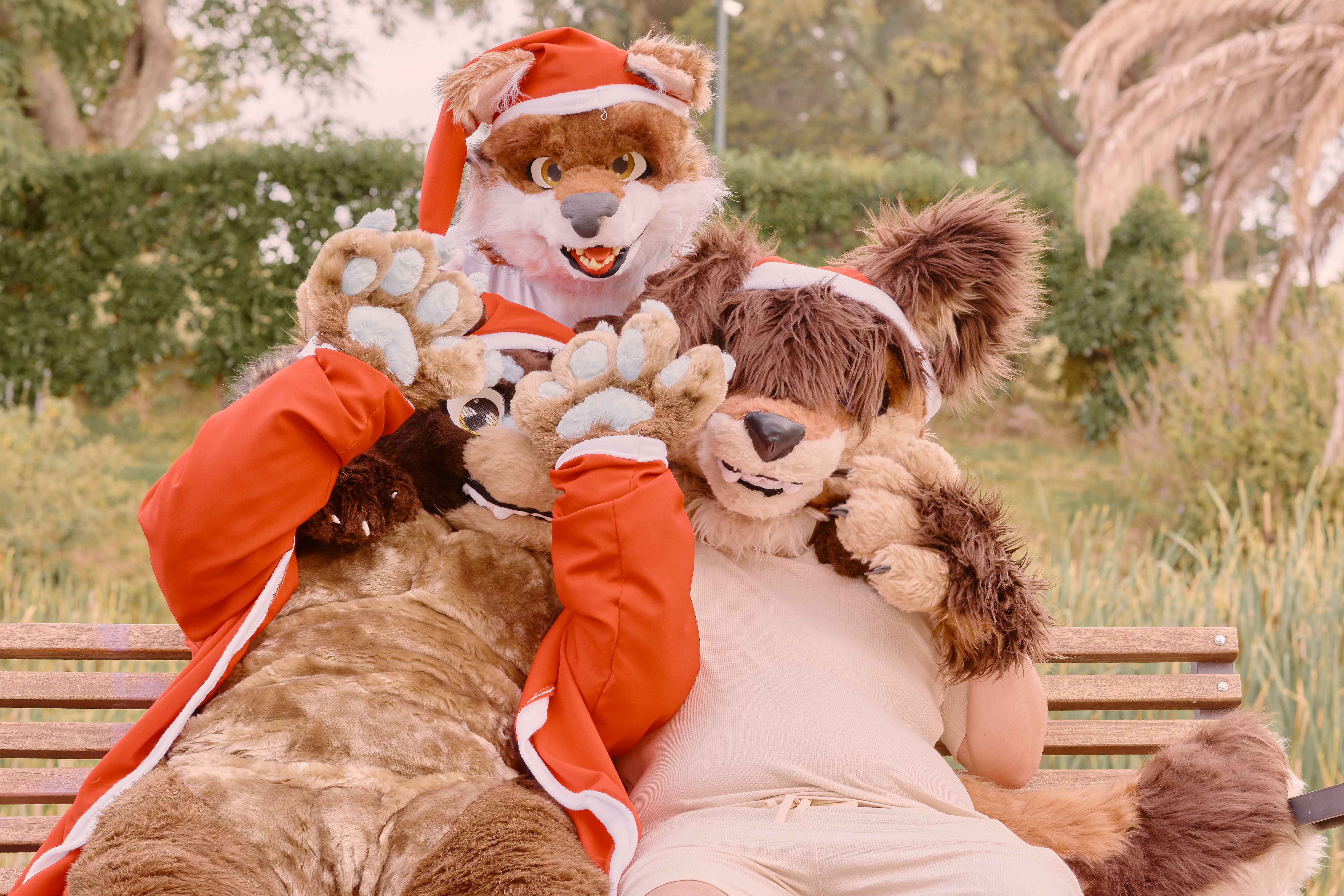 Playful Furry Friends in Santa Costumes Outdoors · Free Stock Photo