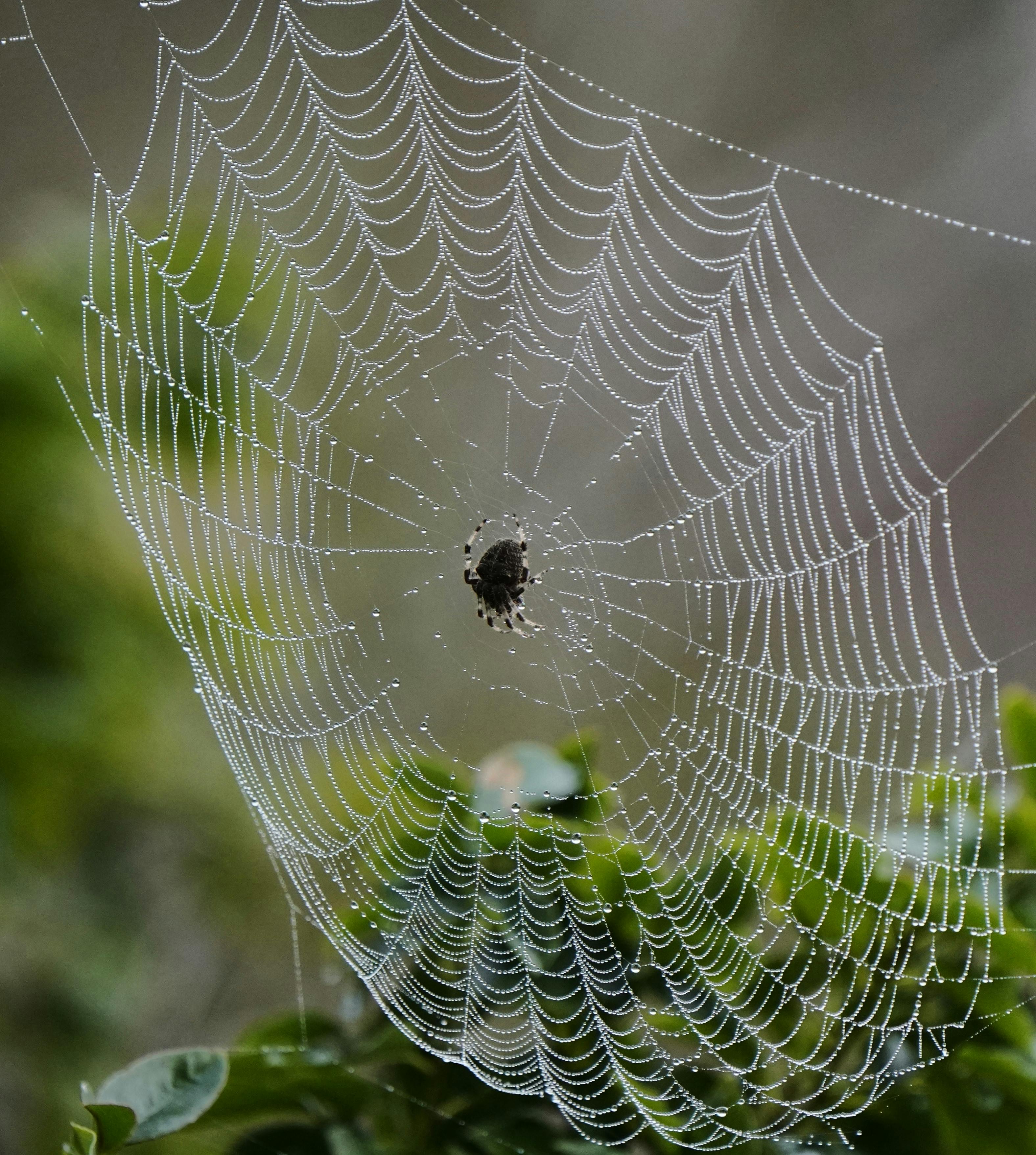 Damp+Lips. Photos, Download The BEST Free Damp+Lips. Stock Photos & HD ...