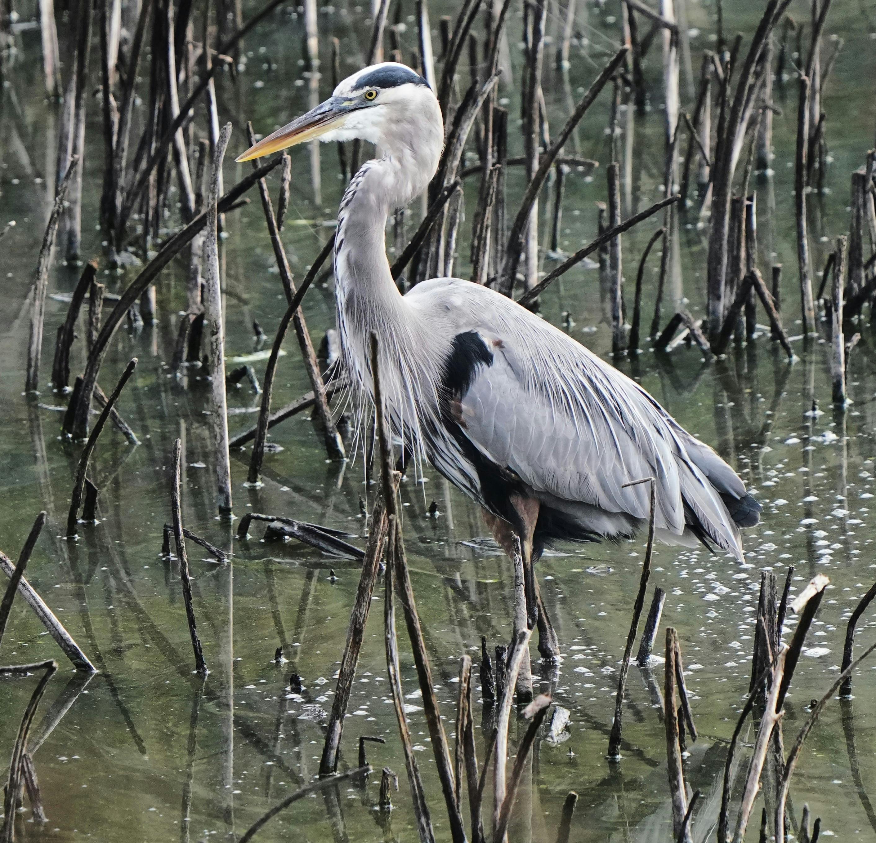 Katrina+Campins+Legs Photos, Download The BEST Free Katrina+Campins ...