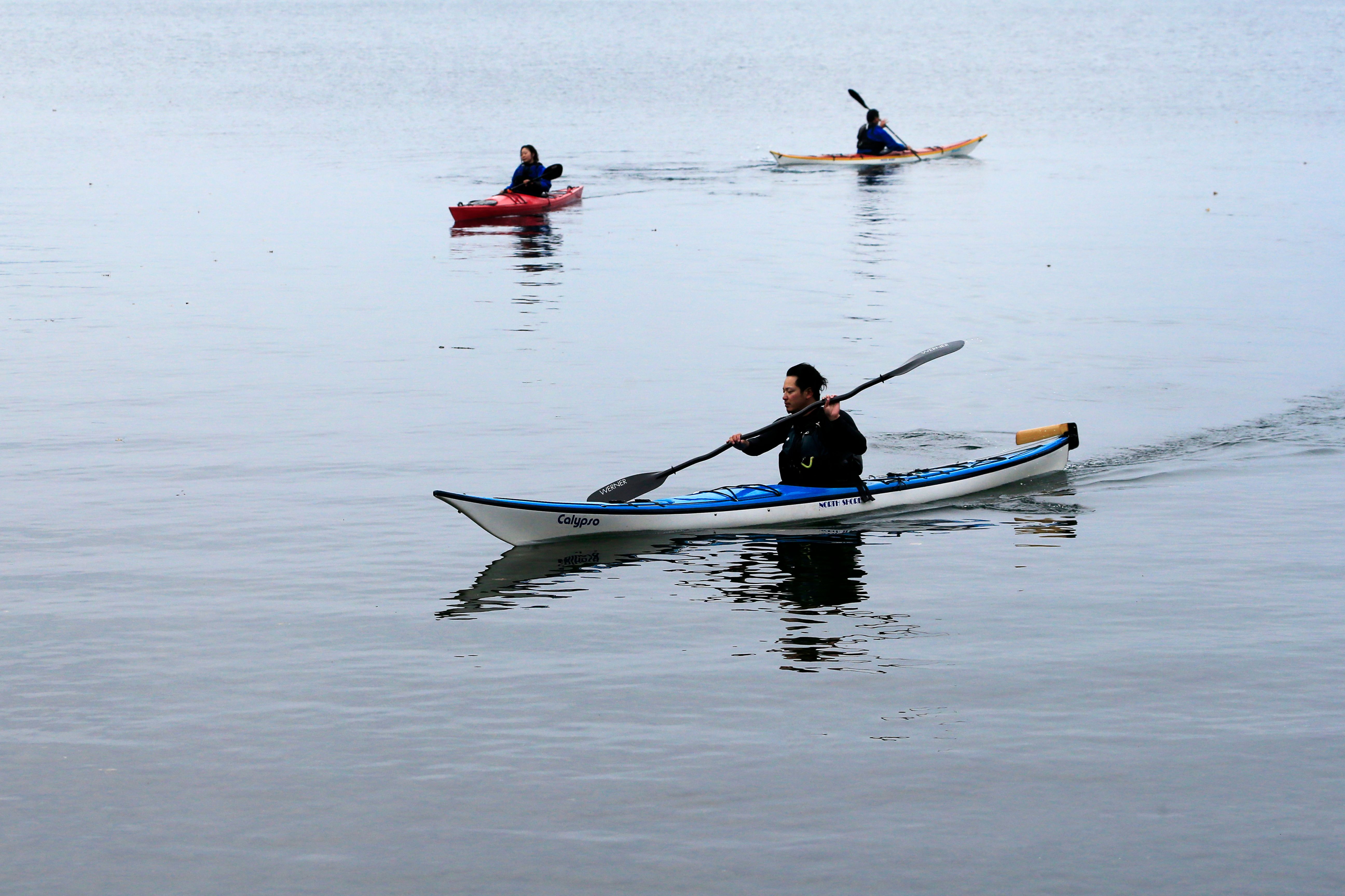 Team Paddling Photos, Download The BEST Free Team Paddling Stock Photos ...