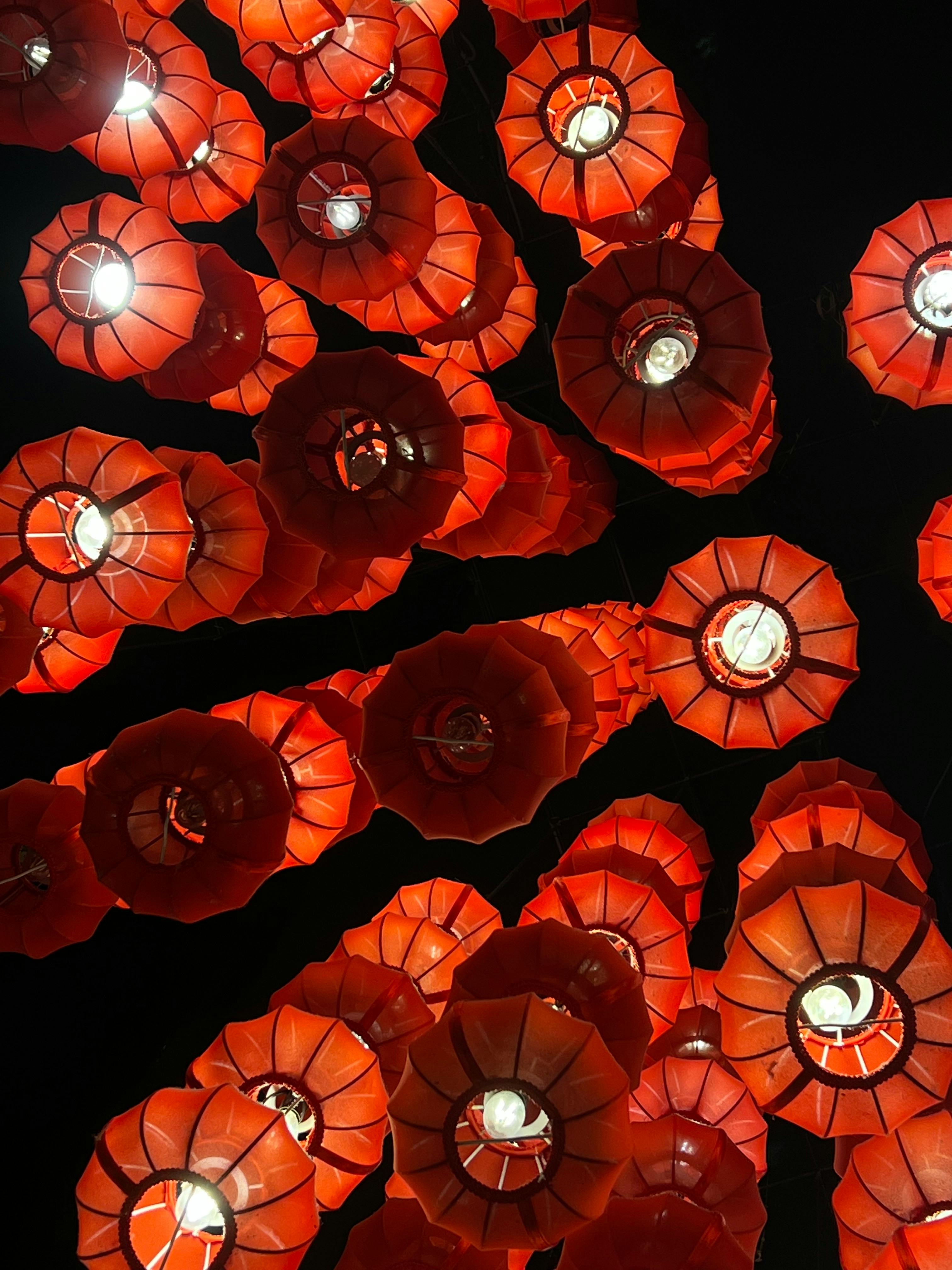 Prosperity Photos, Download The BEST Free Prosperity Stock Photos & HD ...