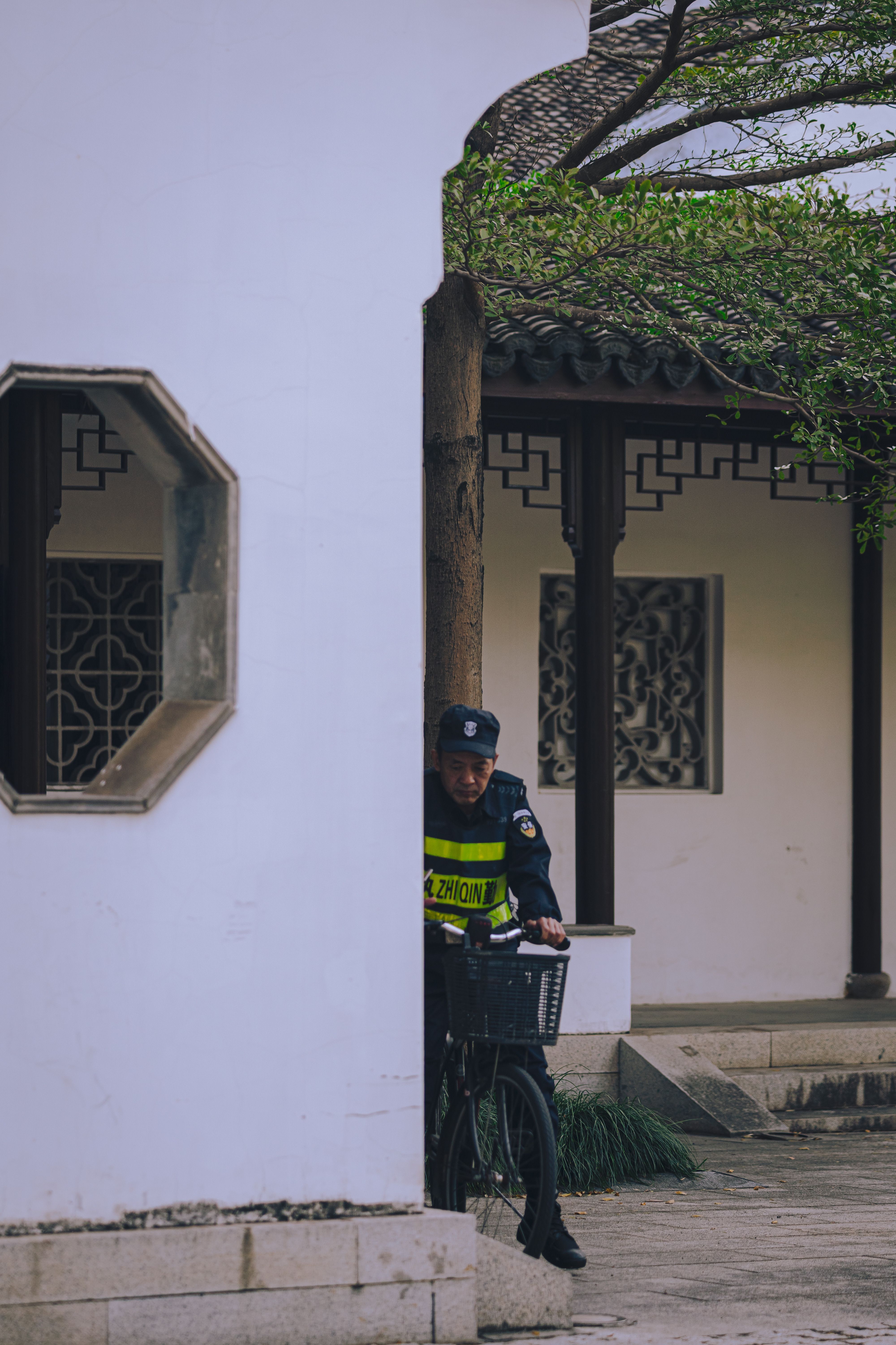 Monitoring Photos, Download The BEST Free Monitoring Stock Photos & HD ...