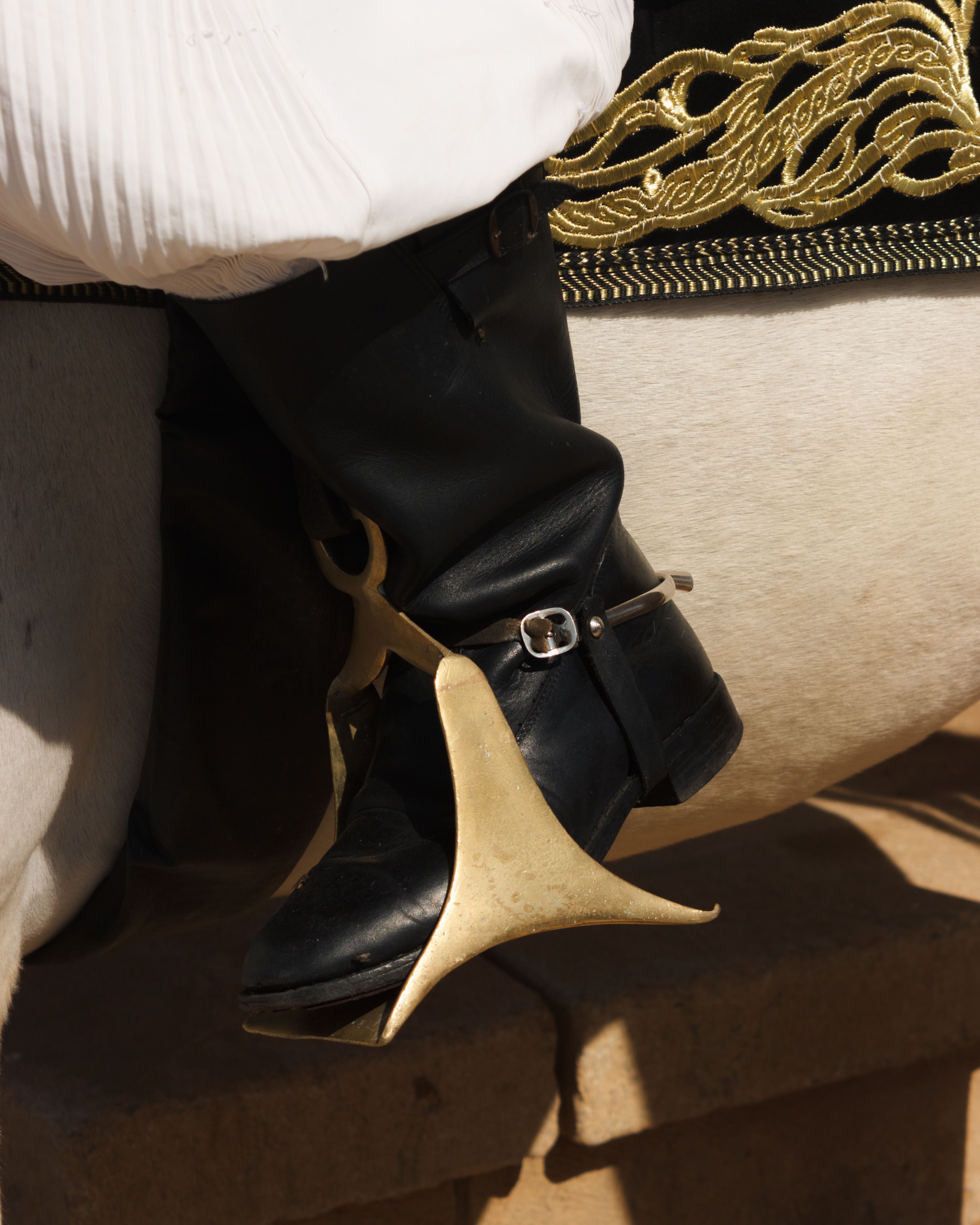 Diana Rider Photos, Download The BEST Free Diana Rider Stock Photos ...