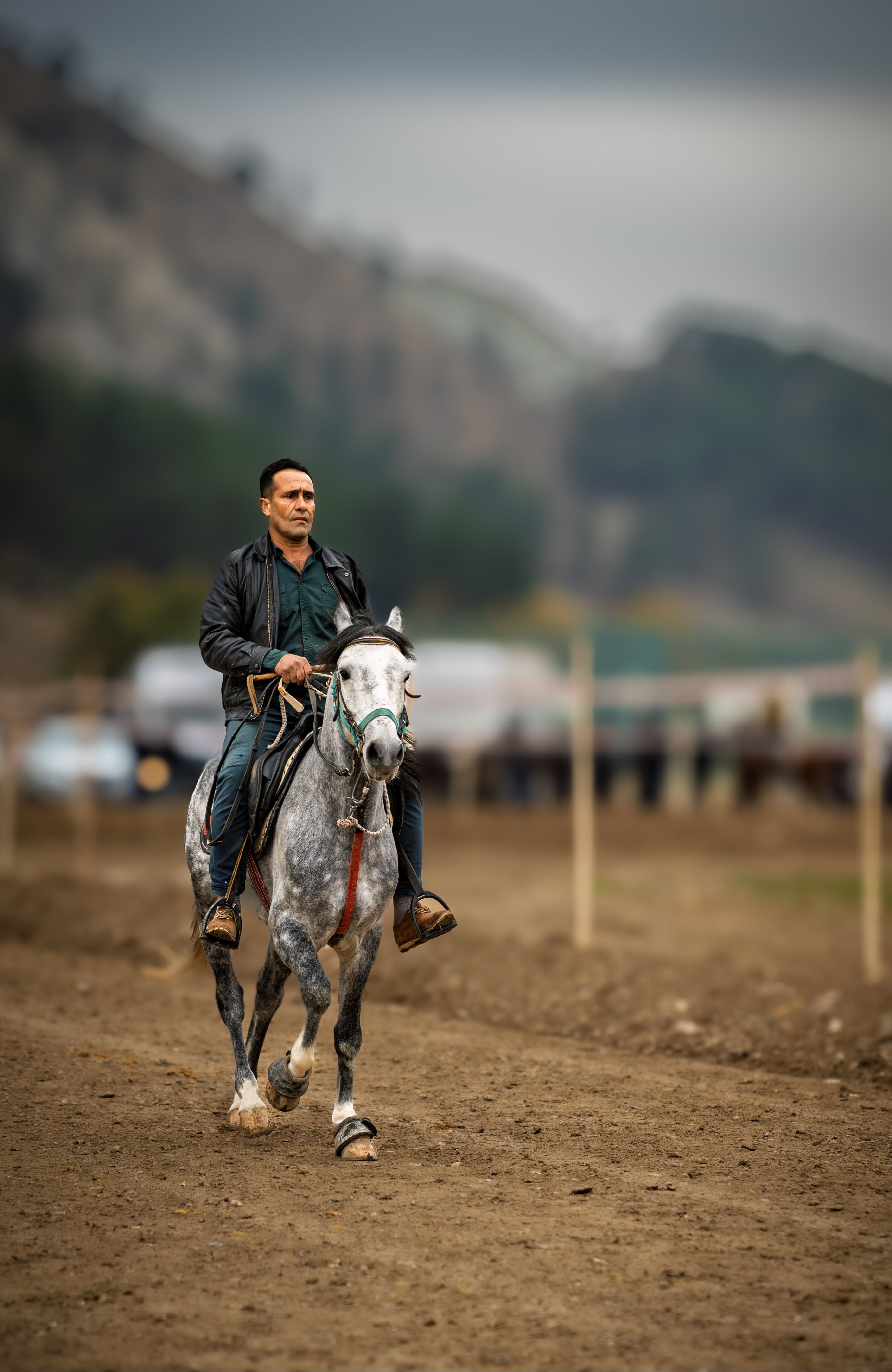 Diana Rider Photos, Download The BEST Free Diana Rider Stock Photos ...