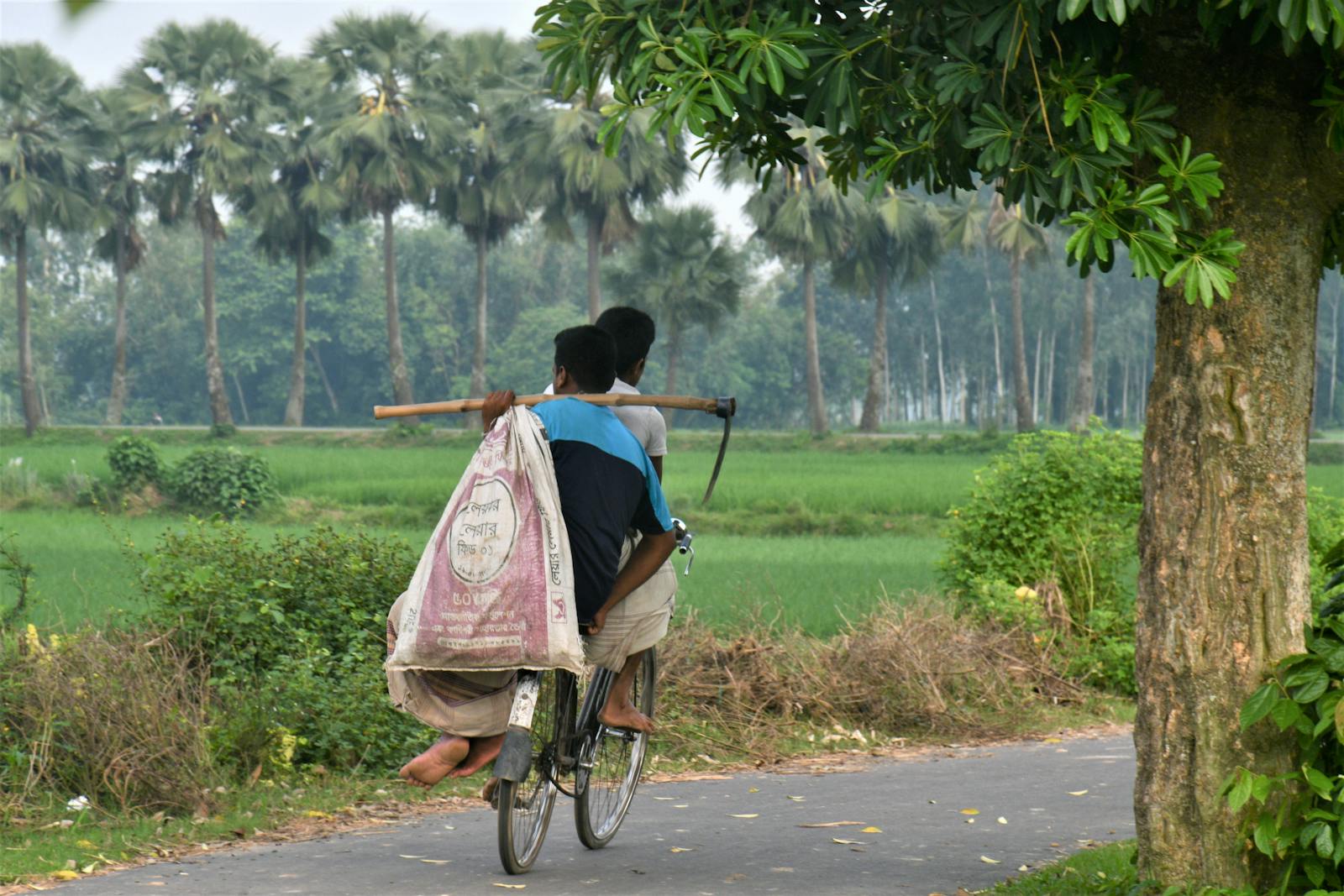 Rural Area Photos, Download The BEST Free Rural Area Stock Photos & HD ...