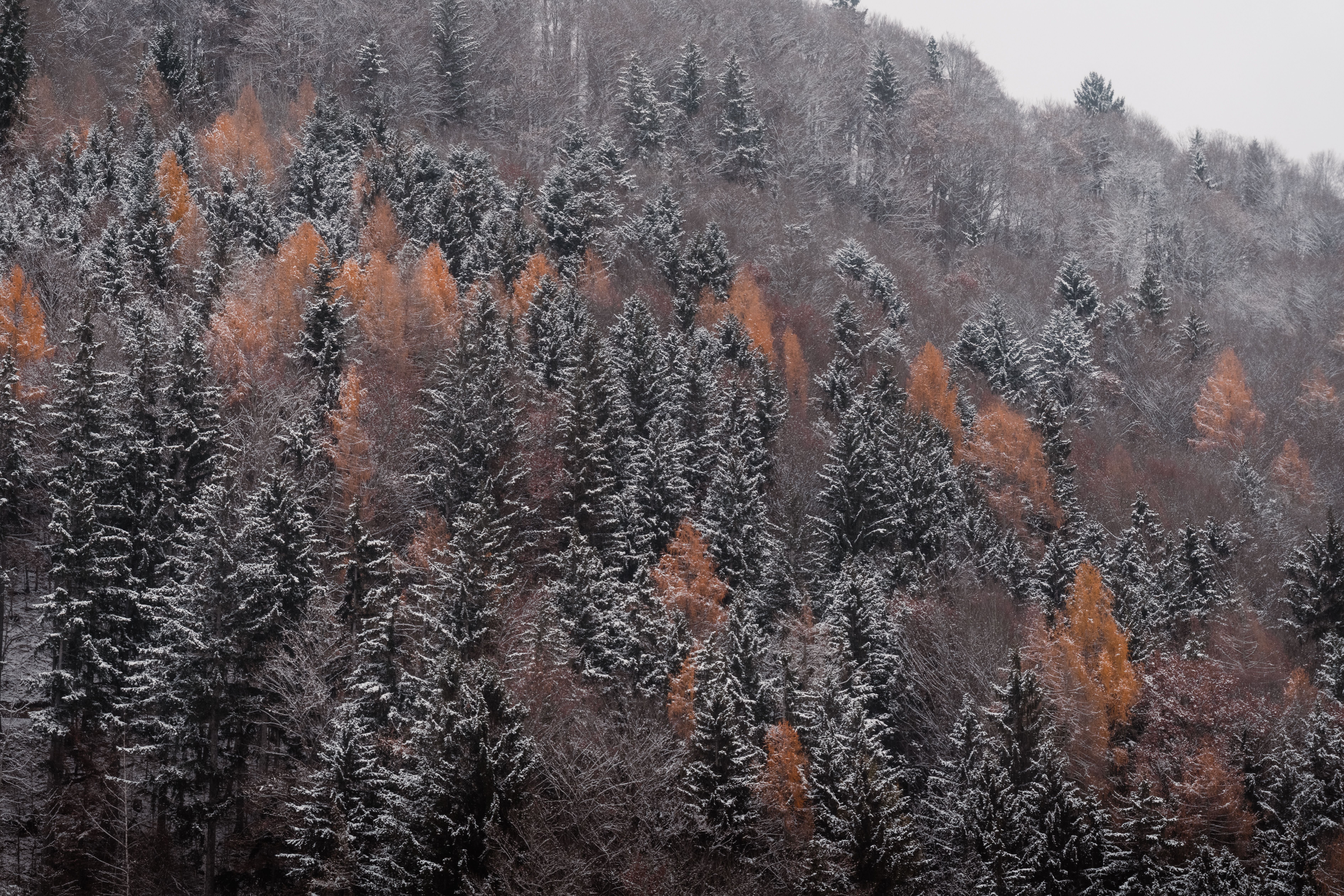 4k Wallpaper Anon Photos, Download The BEST Free 4k Wallpaper Anon ...