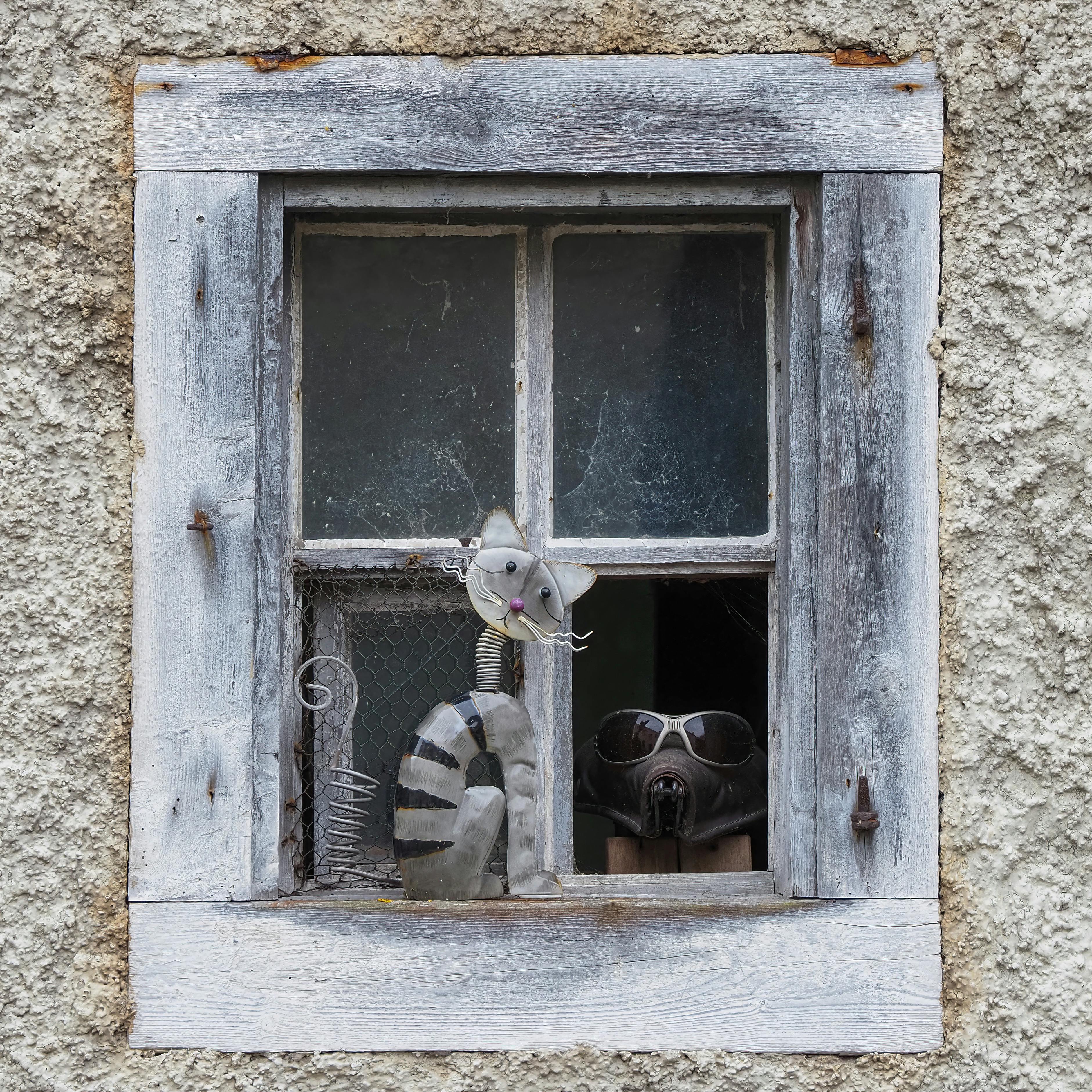 Grumpy Face Photos, Download The BEST Free Grumpy Face Stock Photos ...