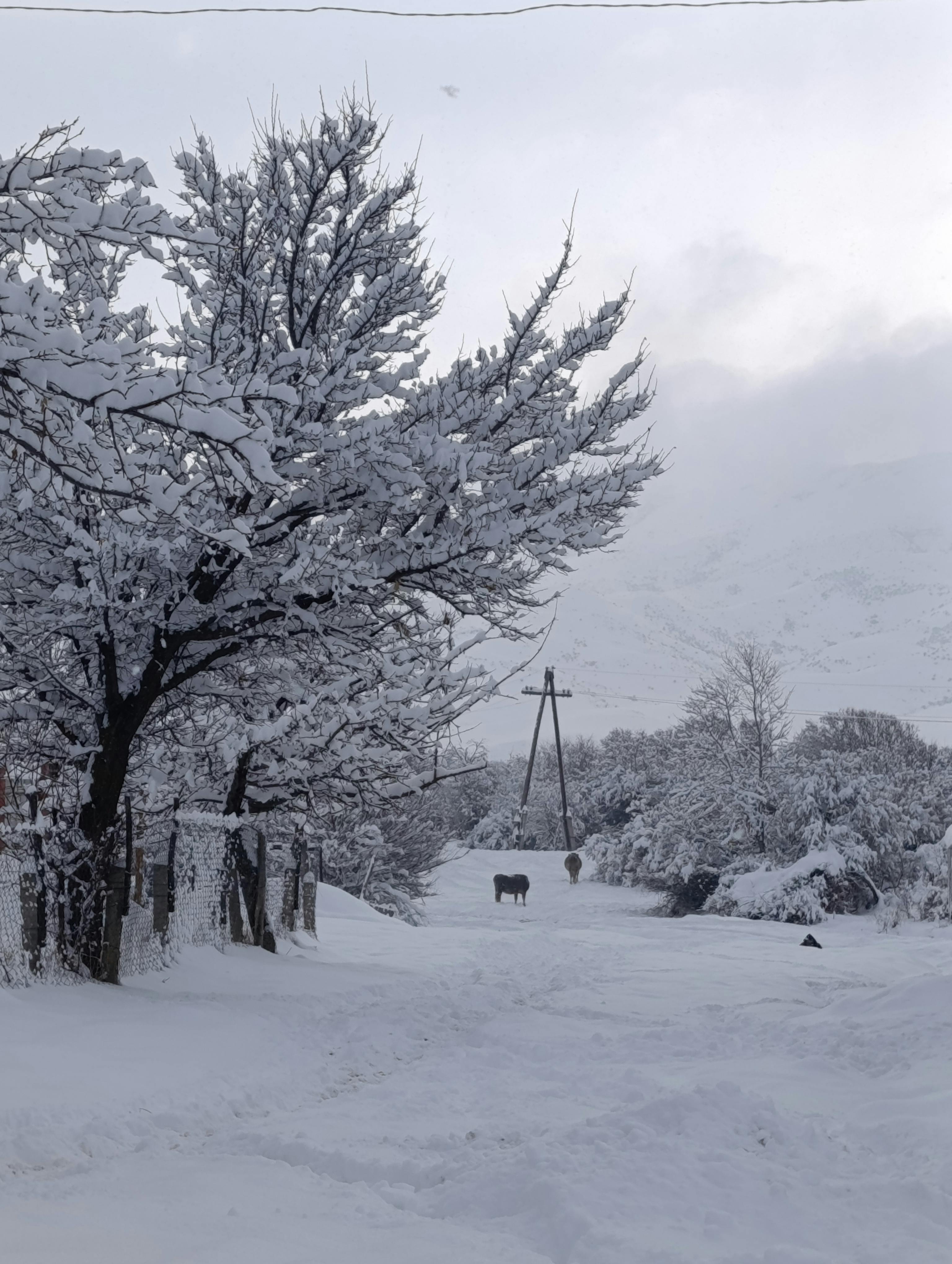 Cold+Tuesday+Morning+Images Photos, Download The BEST Free Cold+Tuesday ...