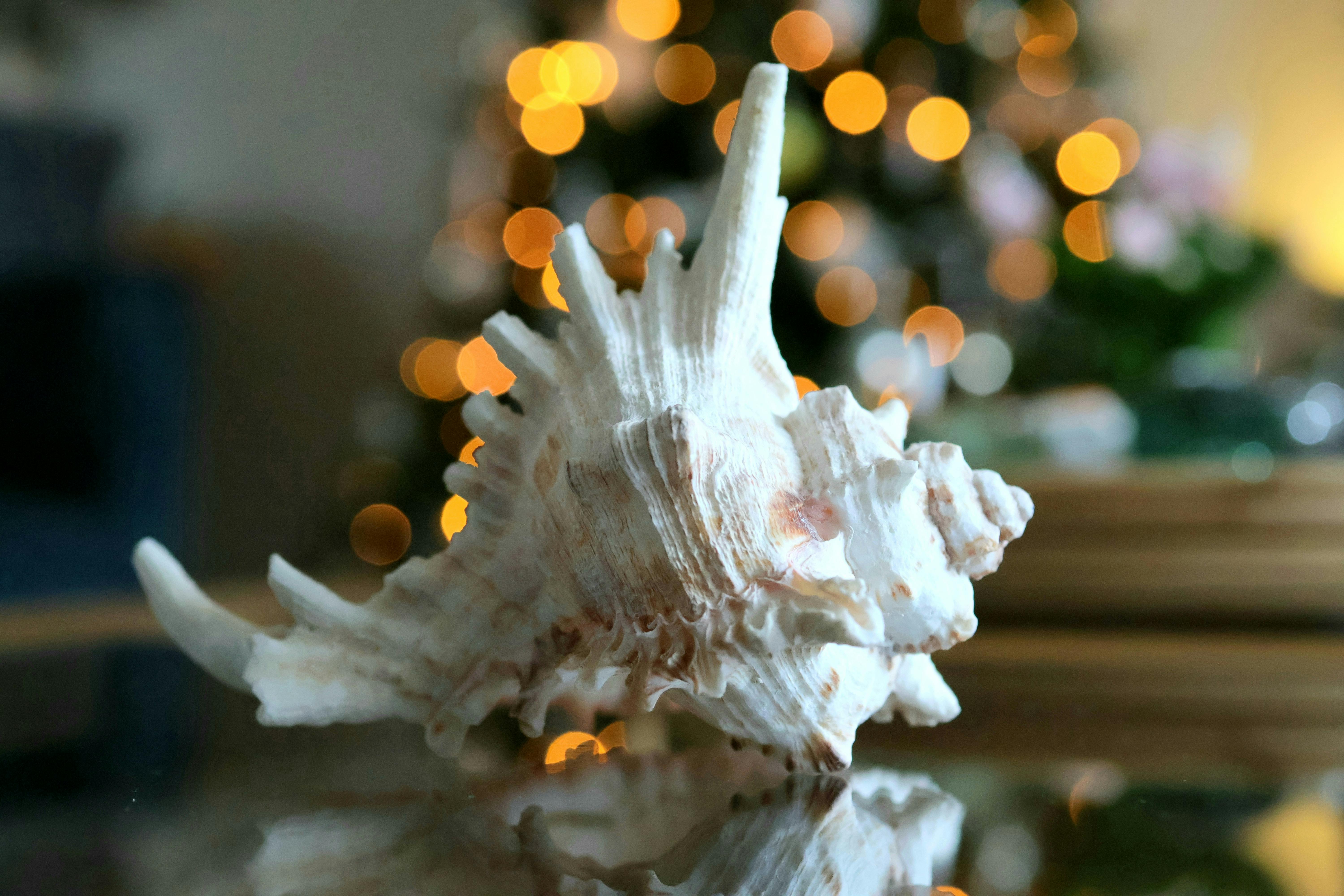 Teto+And+Miku+Matching+Pfp+Christmas Photos, Download The BEST Free ...