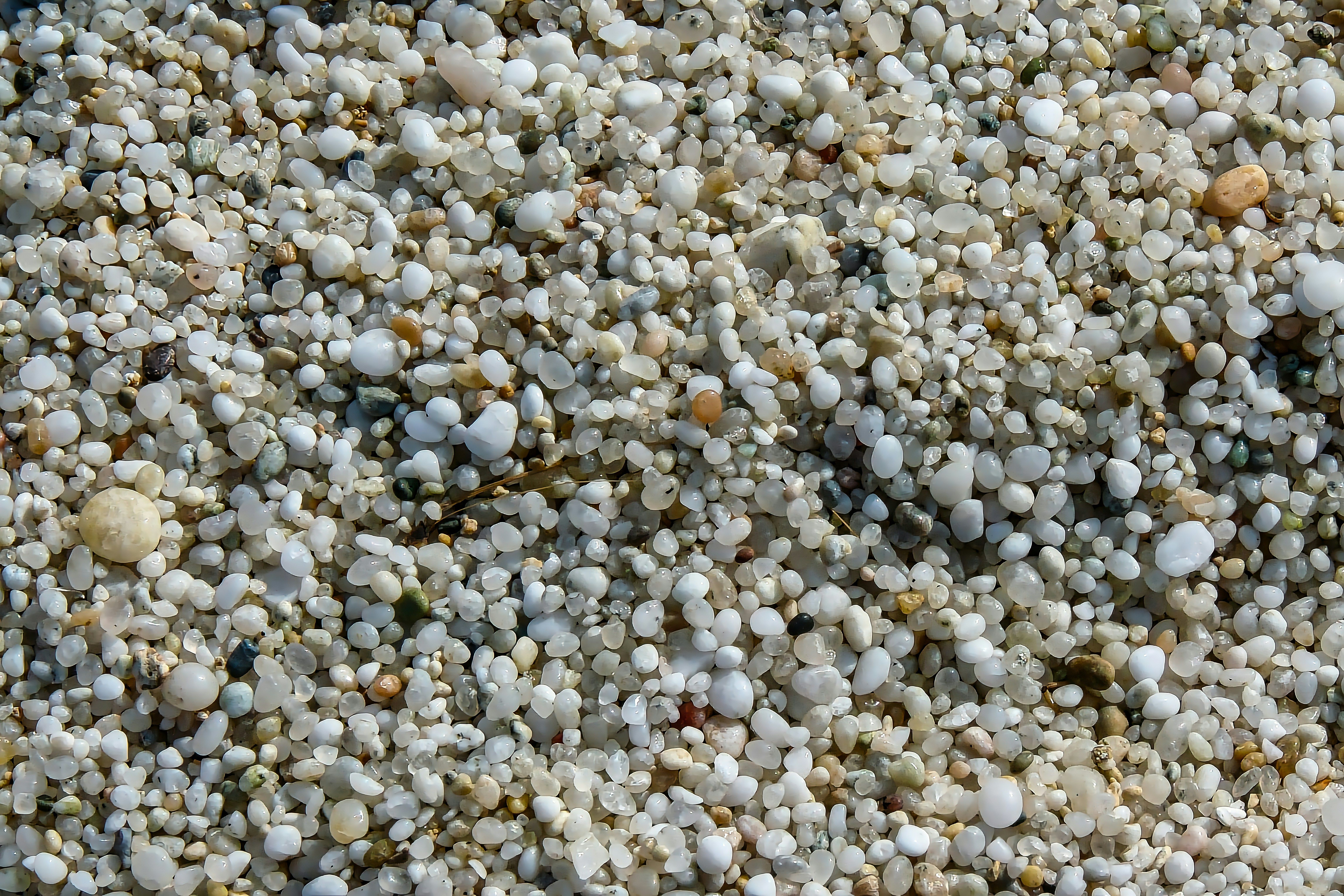 Close-up of Pebbles on a Beach Shore · Free Stock Photo