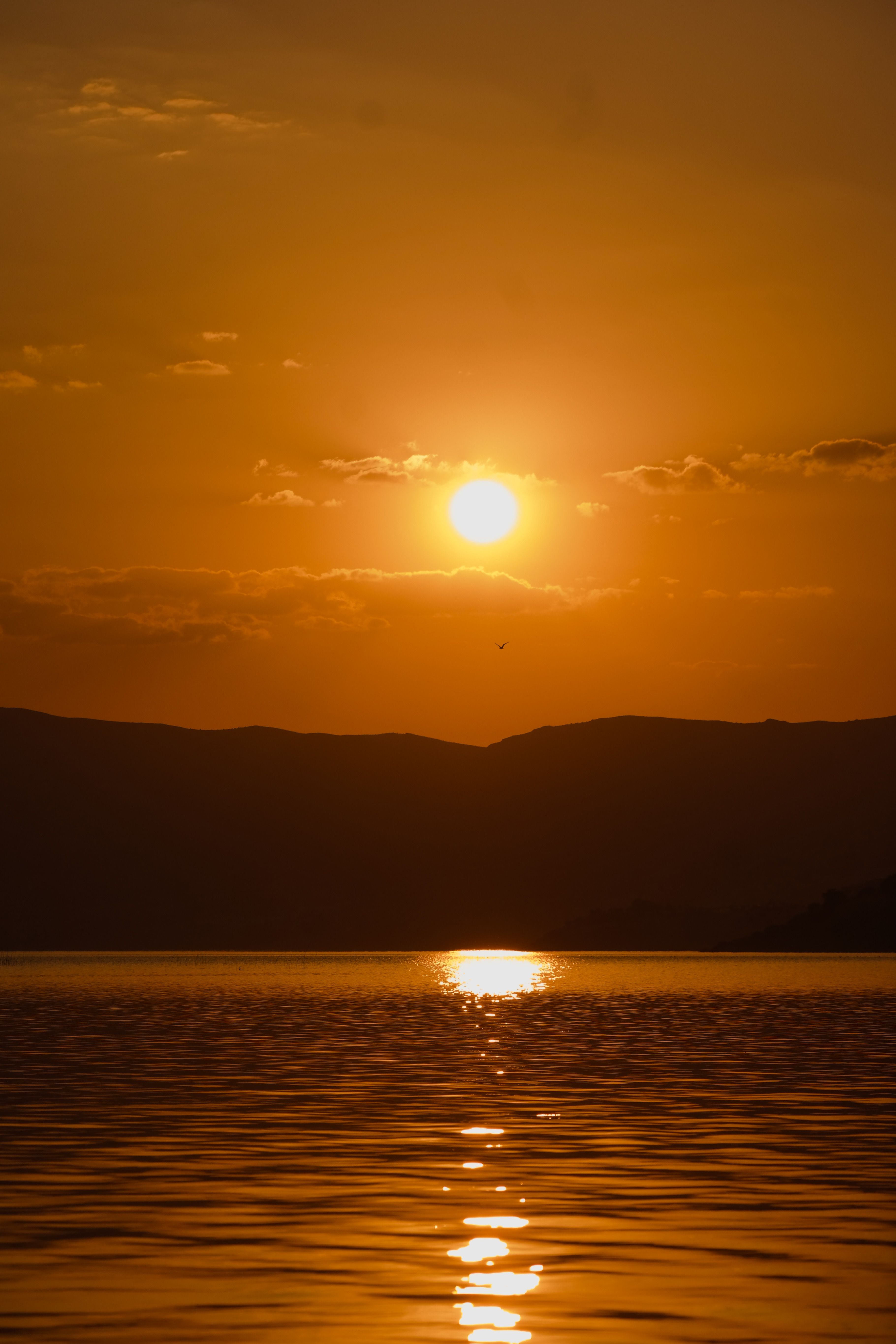 Golden Sunset Over Calm Lake Waters · Free Stock Photo