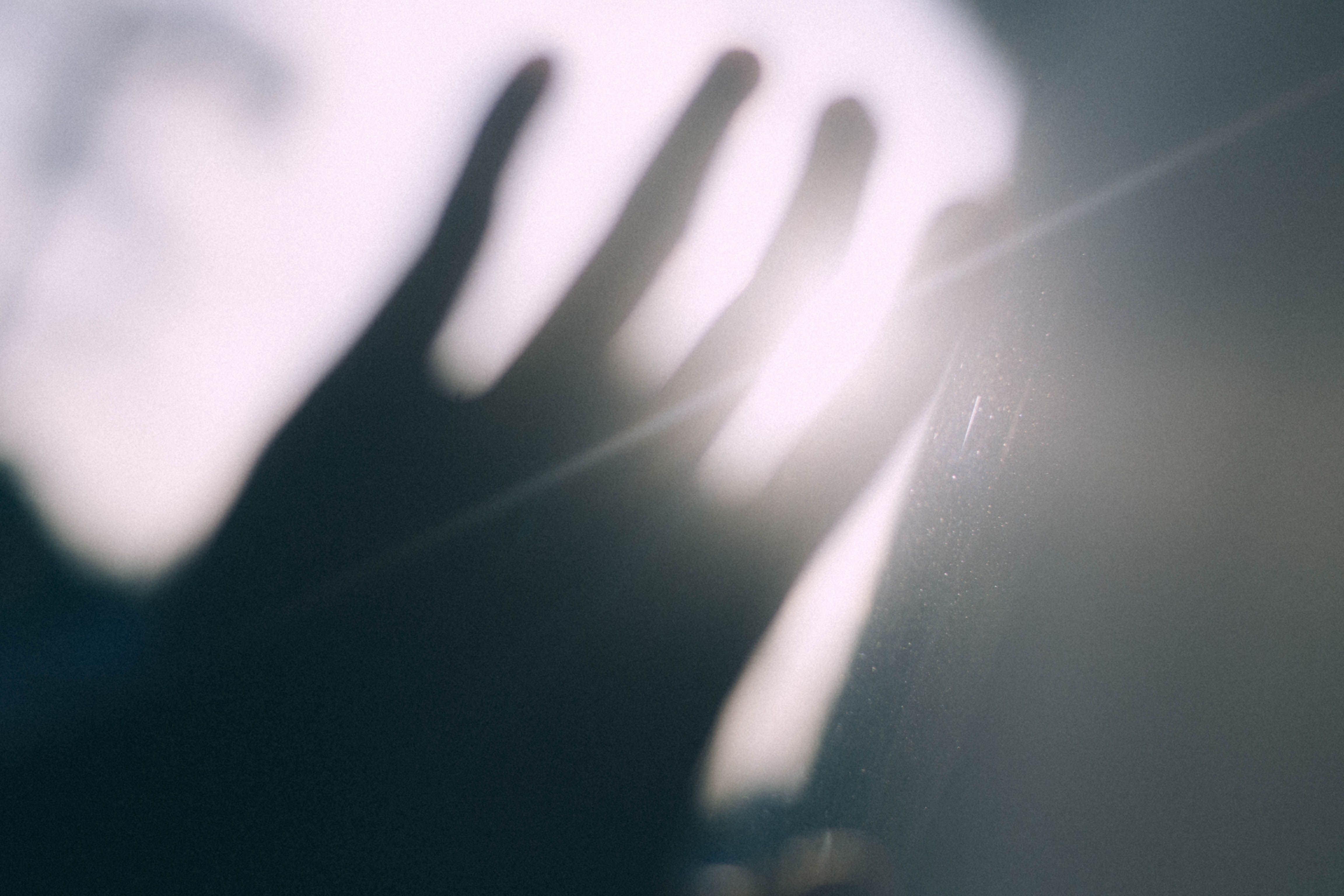 Reaching For Sunlight Photos, Download The BEST Free Reaching For ...