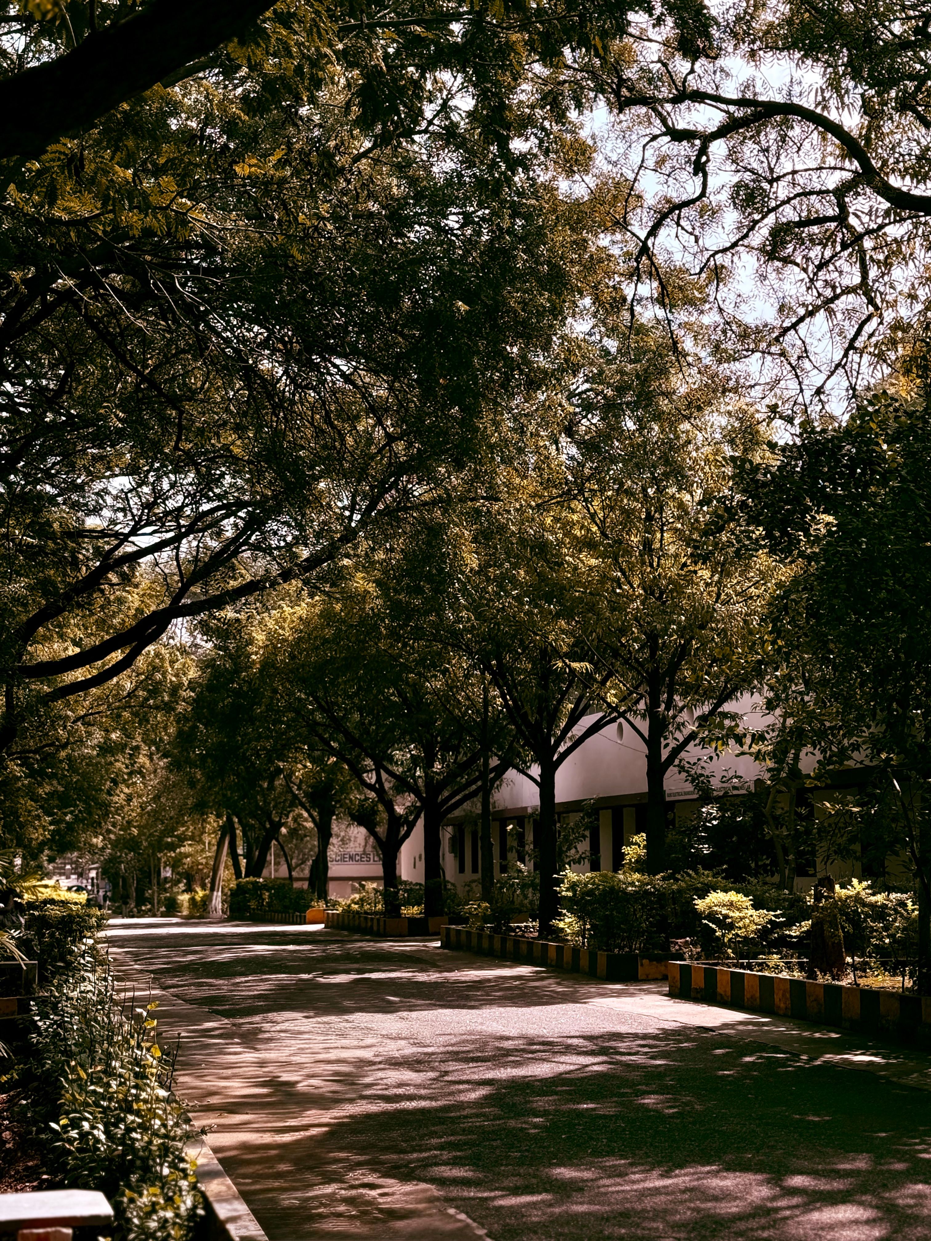 Sohanpal Path Photos, Download The BEST Free Sohanpal Path Stock Photos ...