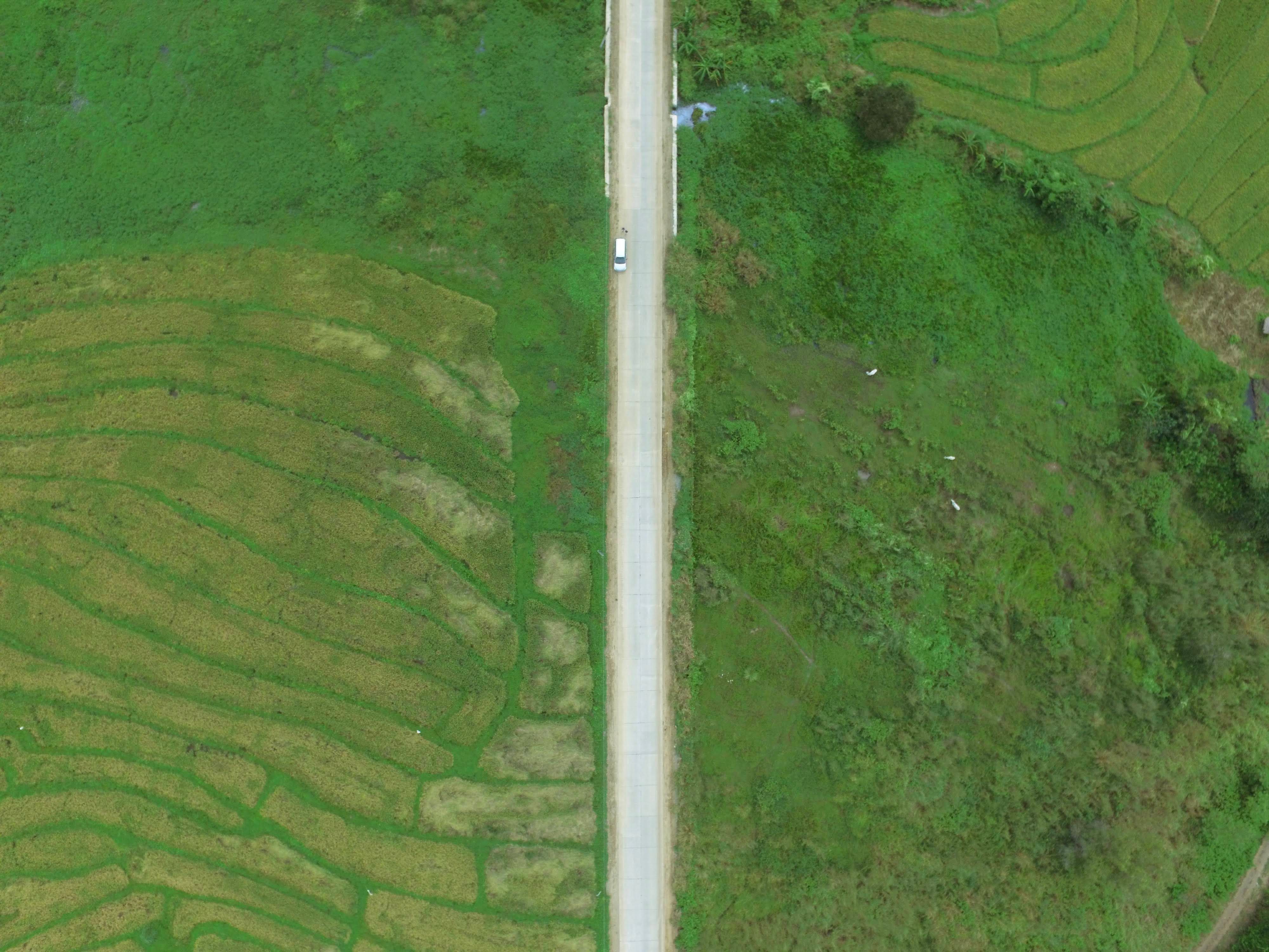 Aerial View of Green Grass Field · Free Stock Photo