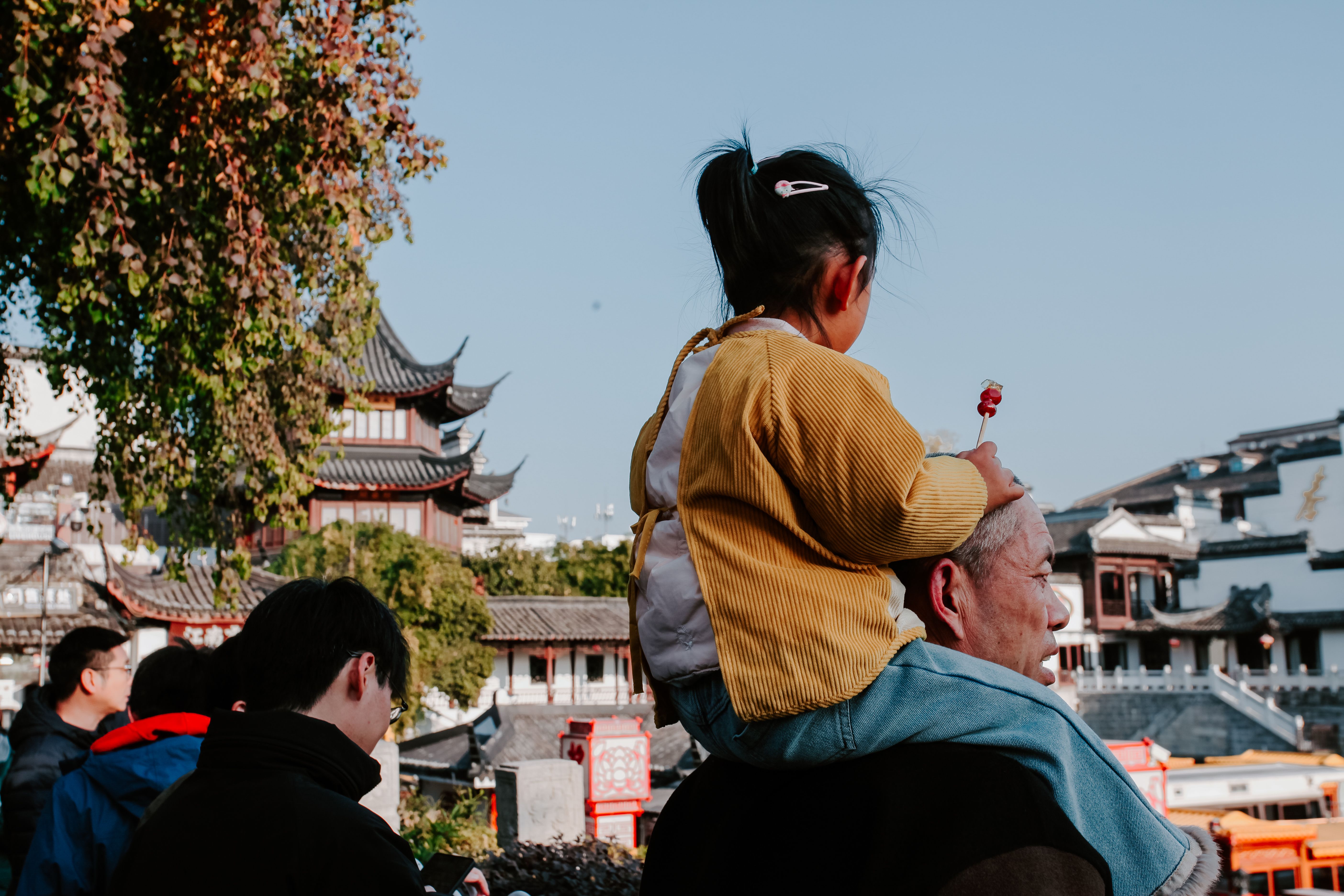 Charming Autumn Day in Nanjing, China · Free Stock Photo