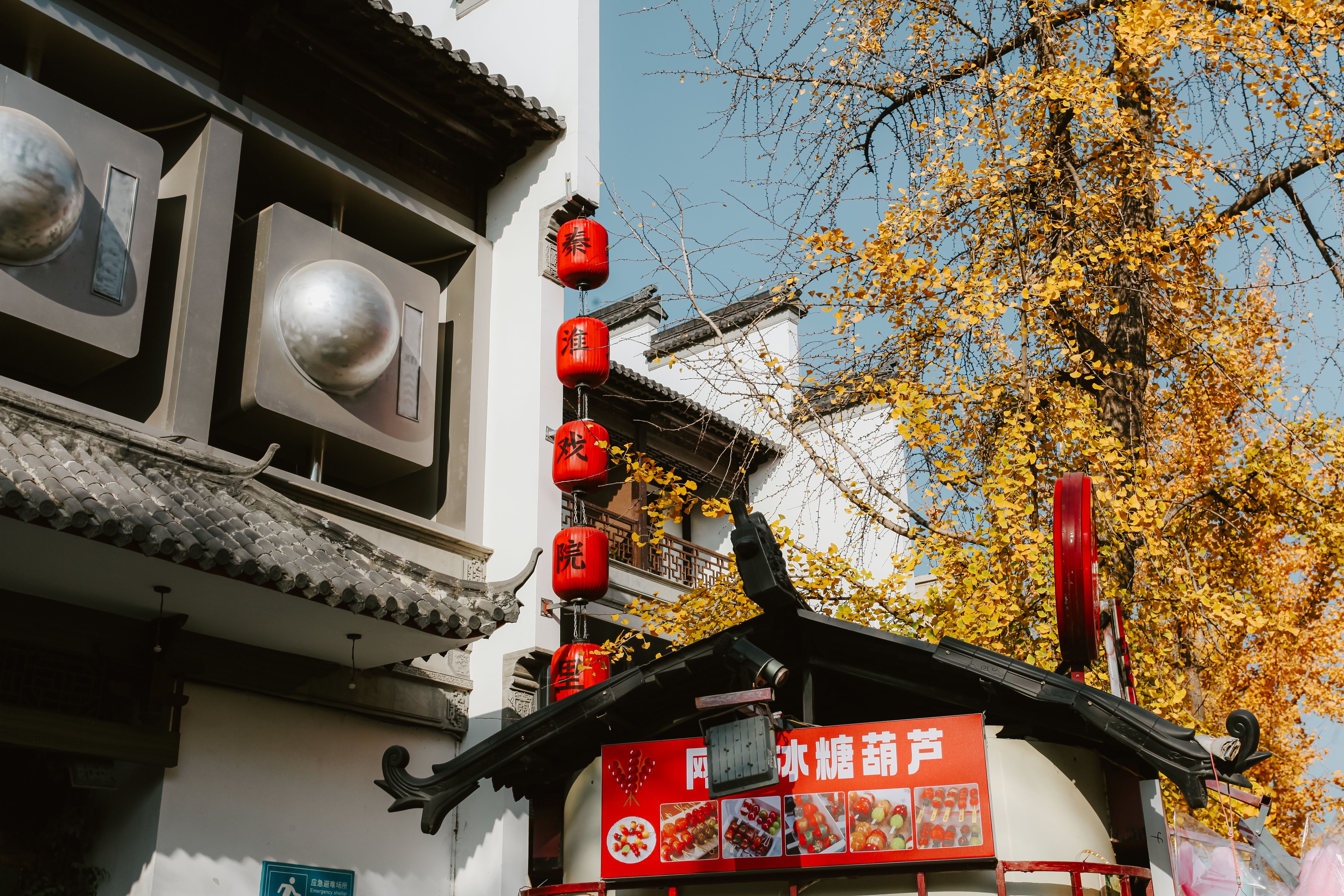 Charming Autumn Street in Nanjing, China · Free Stock Photo