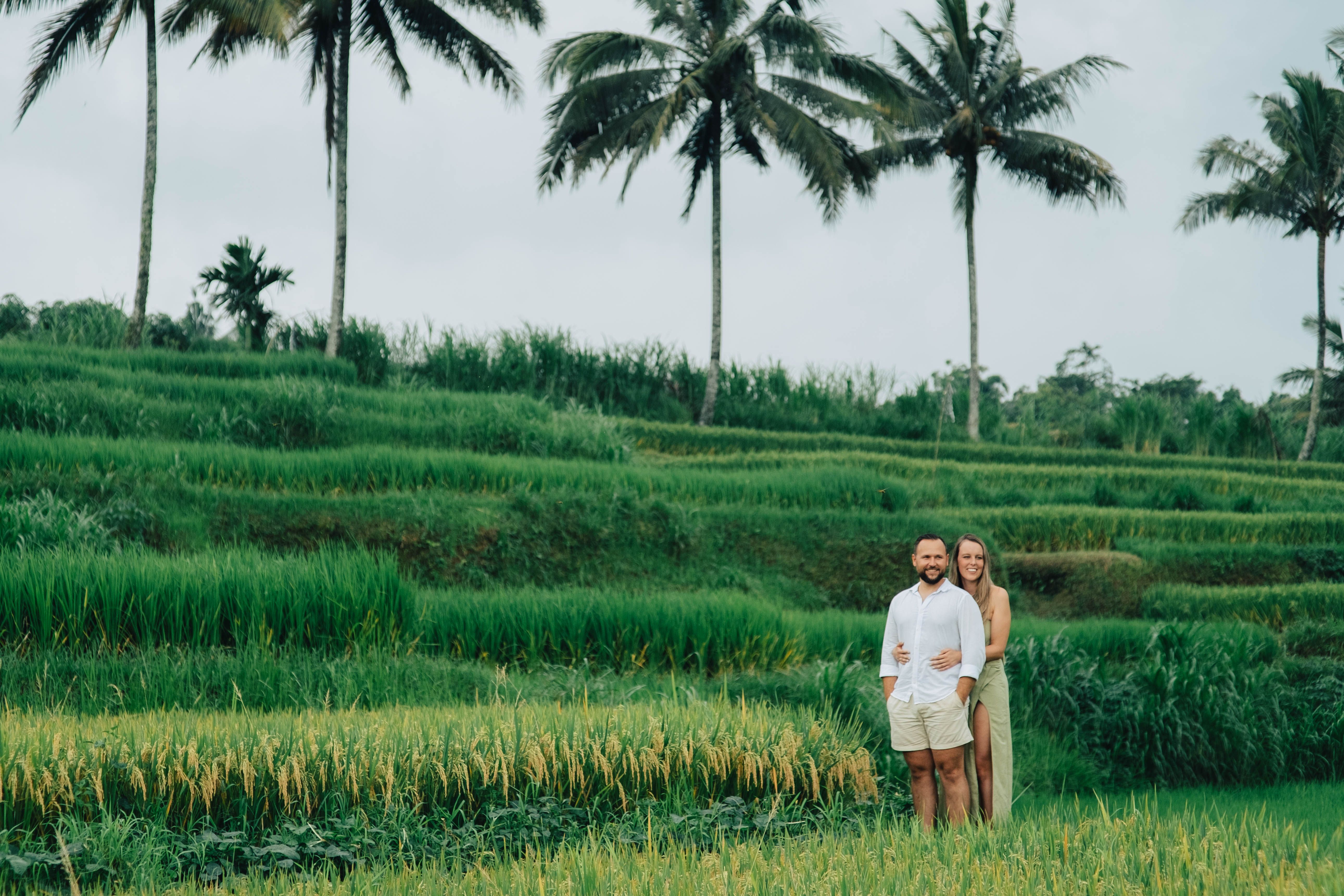 Beautiful Grass Field Photos, Download The BEST Free Beautiful Grass ...