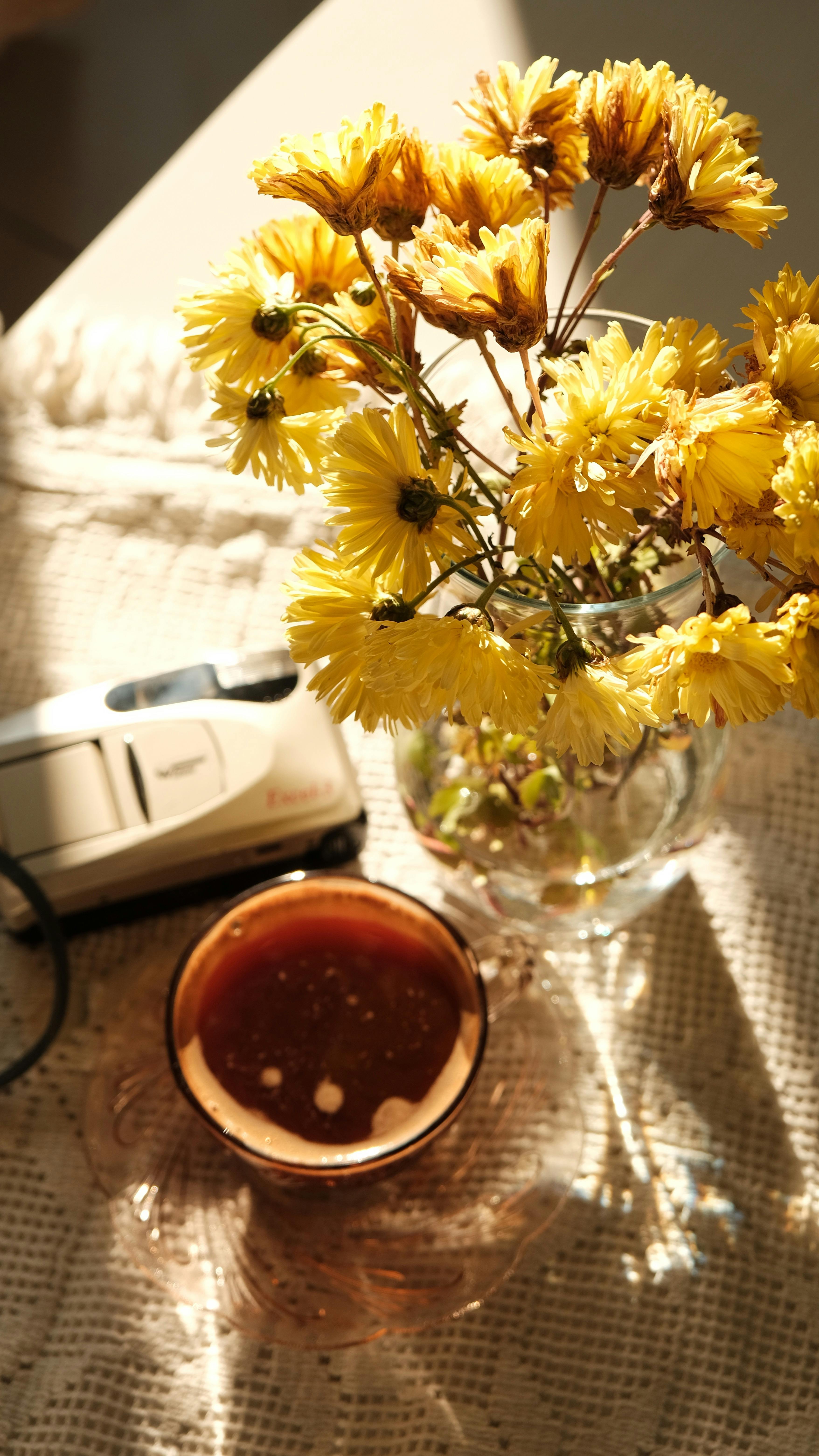 Ambient Photos, Download The BEST Free Ambient Stock Photos & HD Images