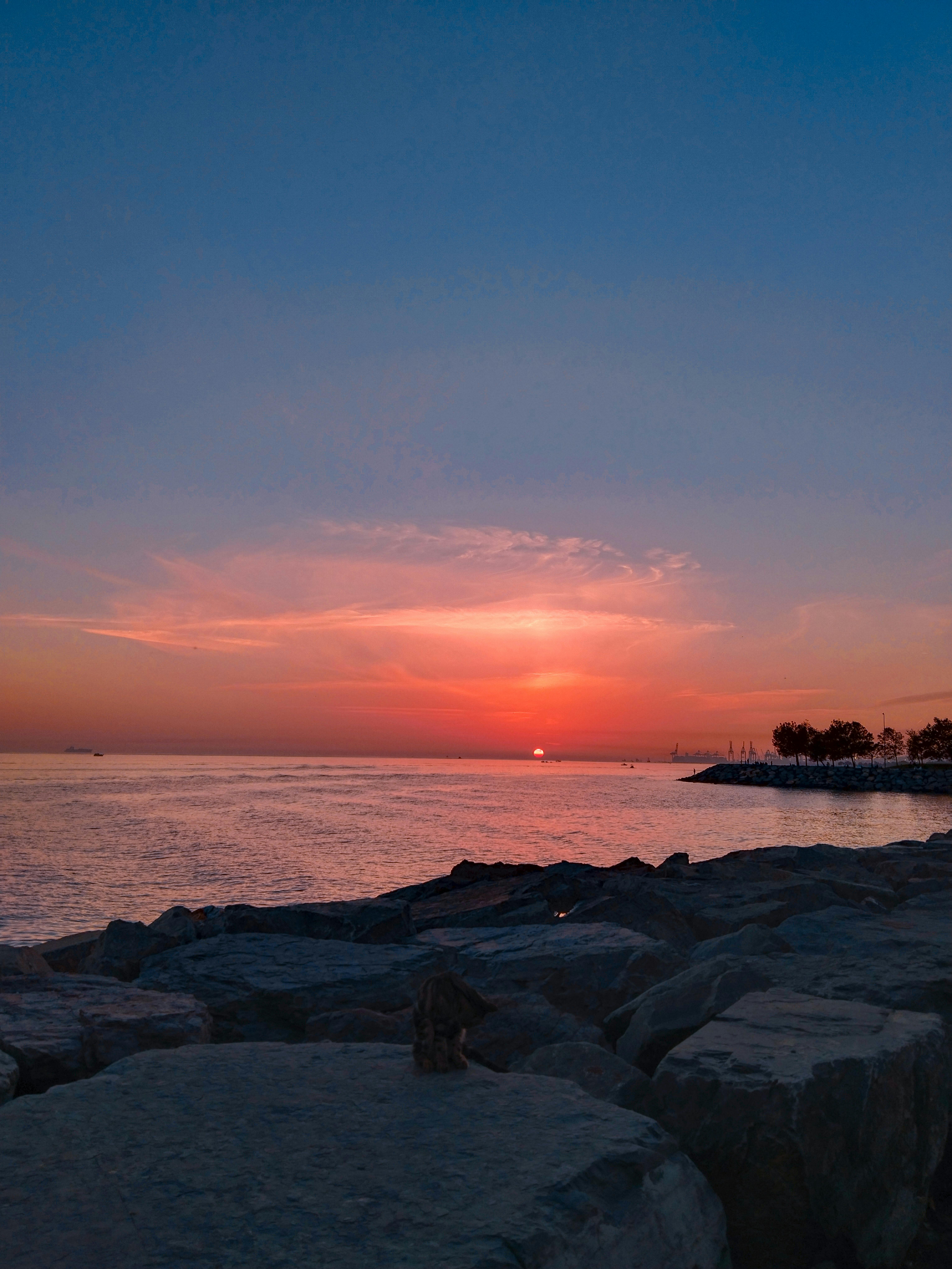 Adobe Photos, Download The BEST Free Adobe Stock Photos & HD Images