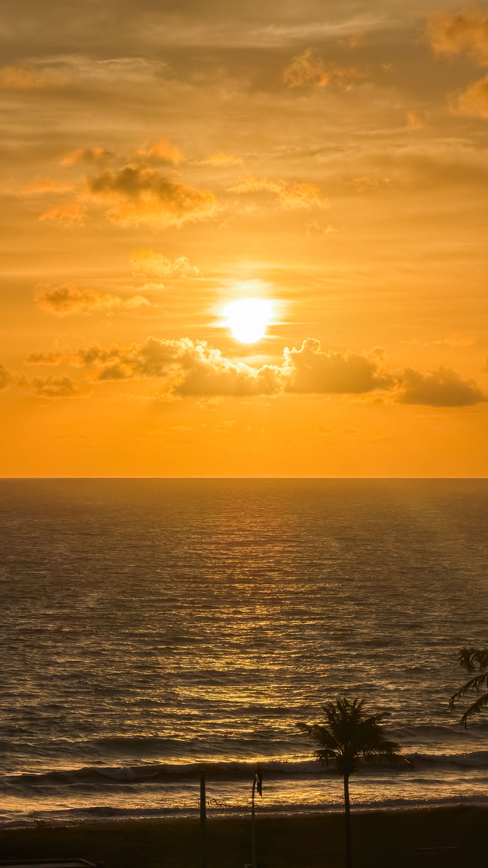Sun Summer Photos, Download The BEST Free Sun Summer Stock Photos & HD ...