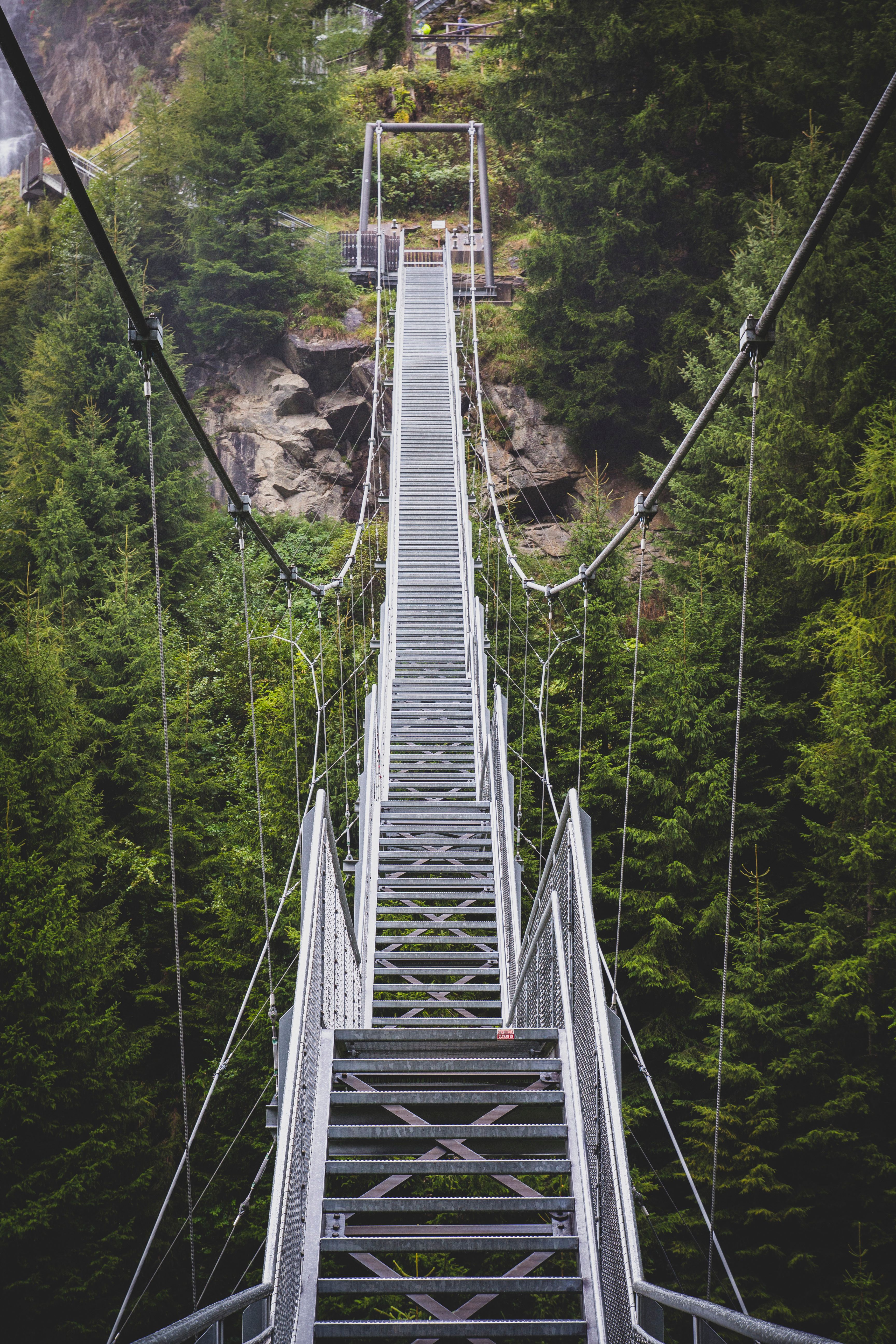 Ponte Suspensa Em Meio A Uma Paisagem Florestal Exuberante. · Foto ...