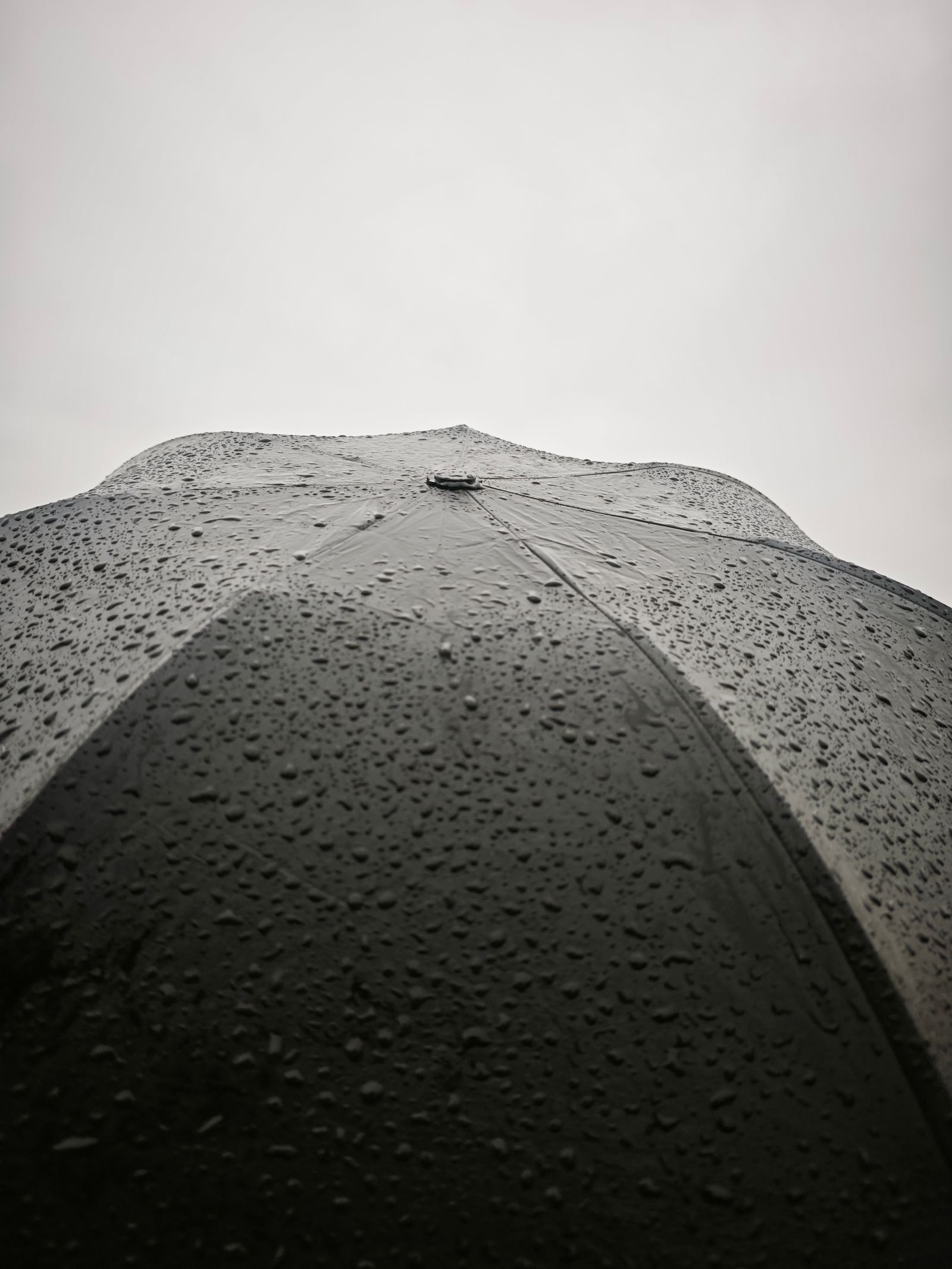 Umbrella Rain Photos, Download The BEST Free Umbrella Rain Stock Photos ...