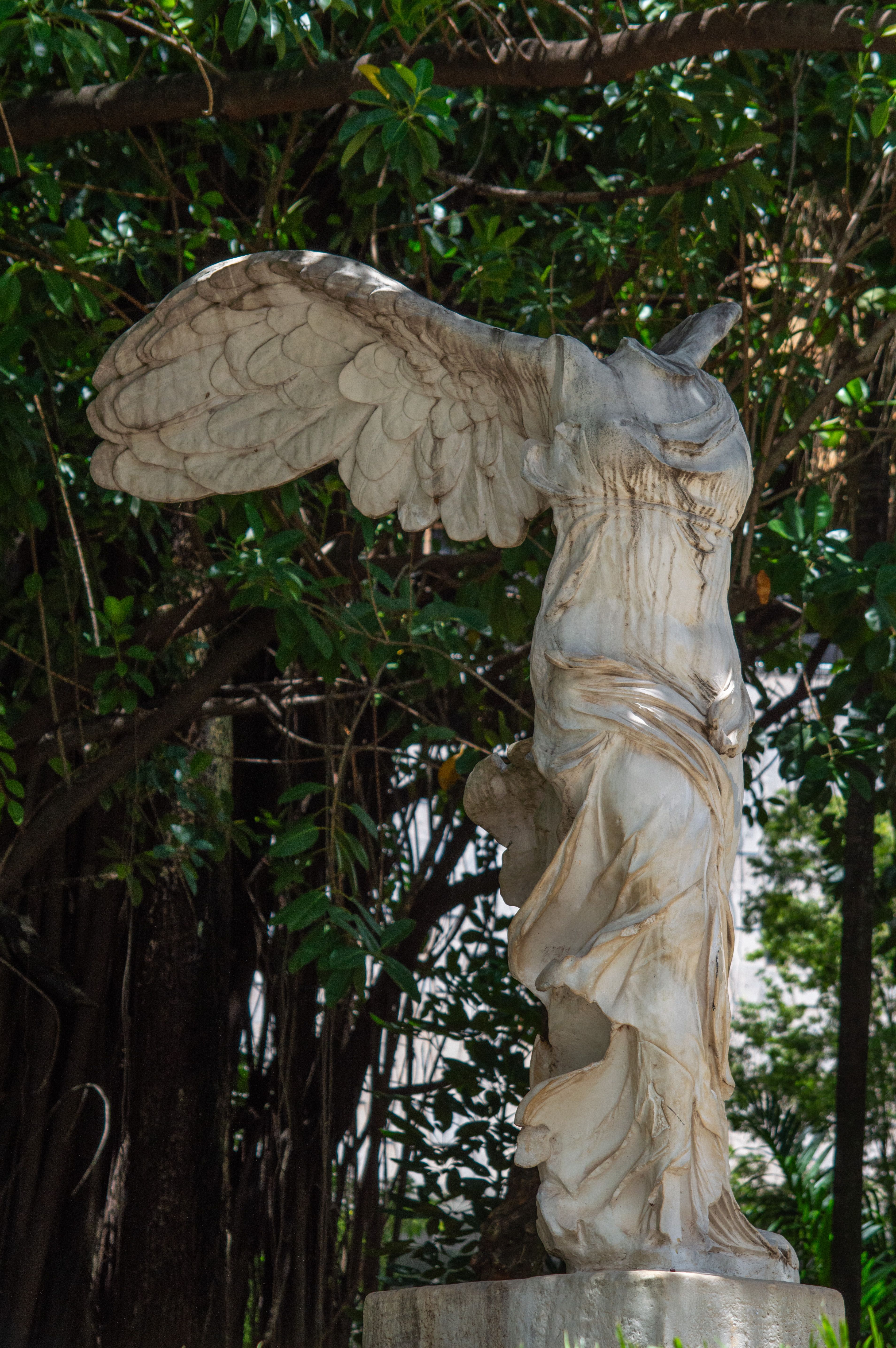 Winged Victory Sculpture in Lush Brazilian Setting · Free Stock Photo