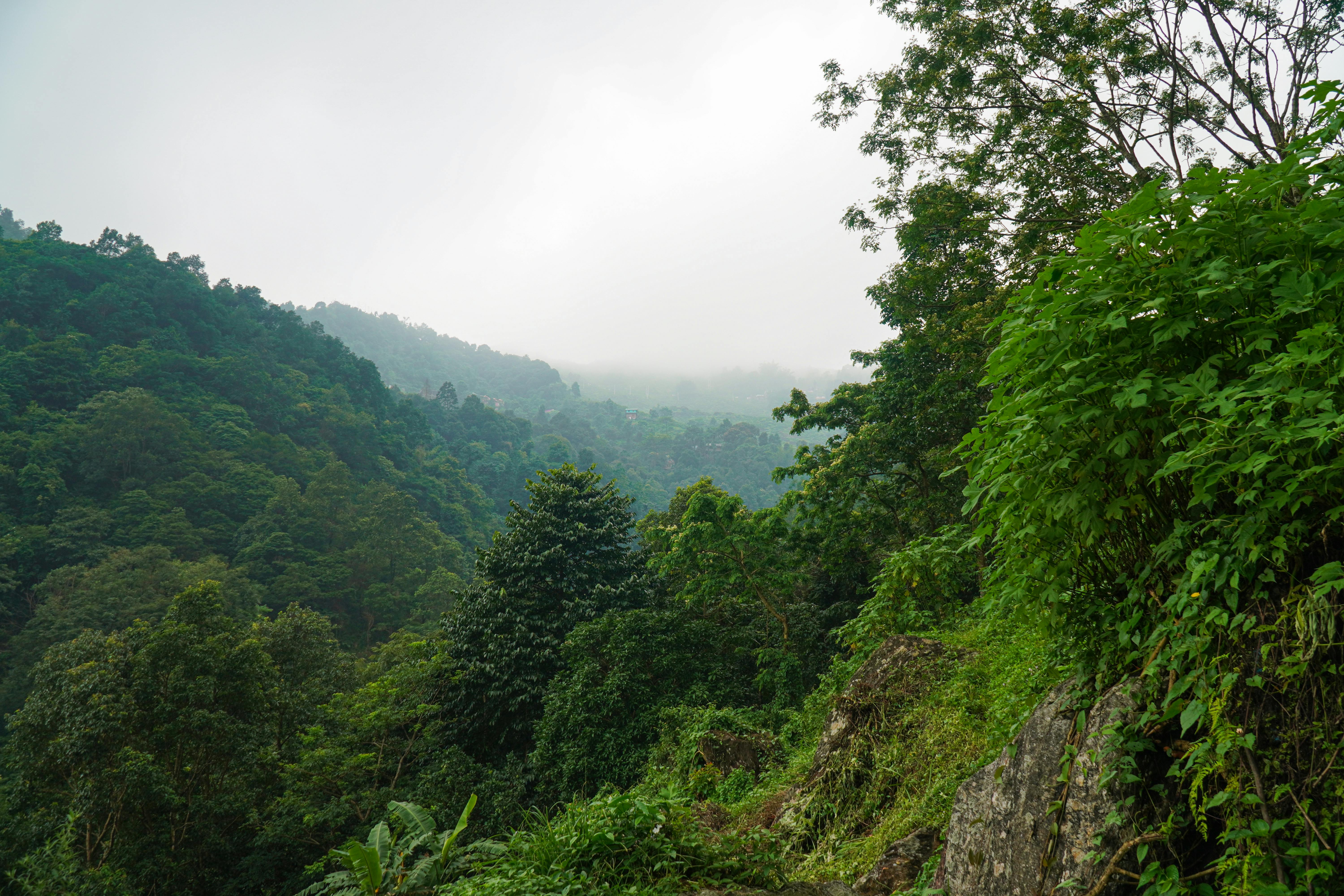 Horror Bhoot Photos, Download The BEST Free Horror Bhoot Stock Photos ...