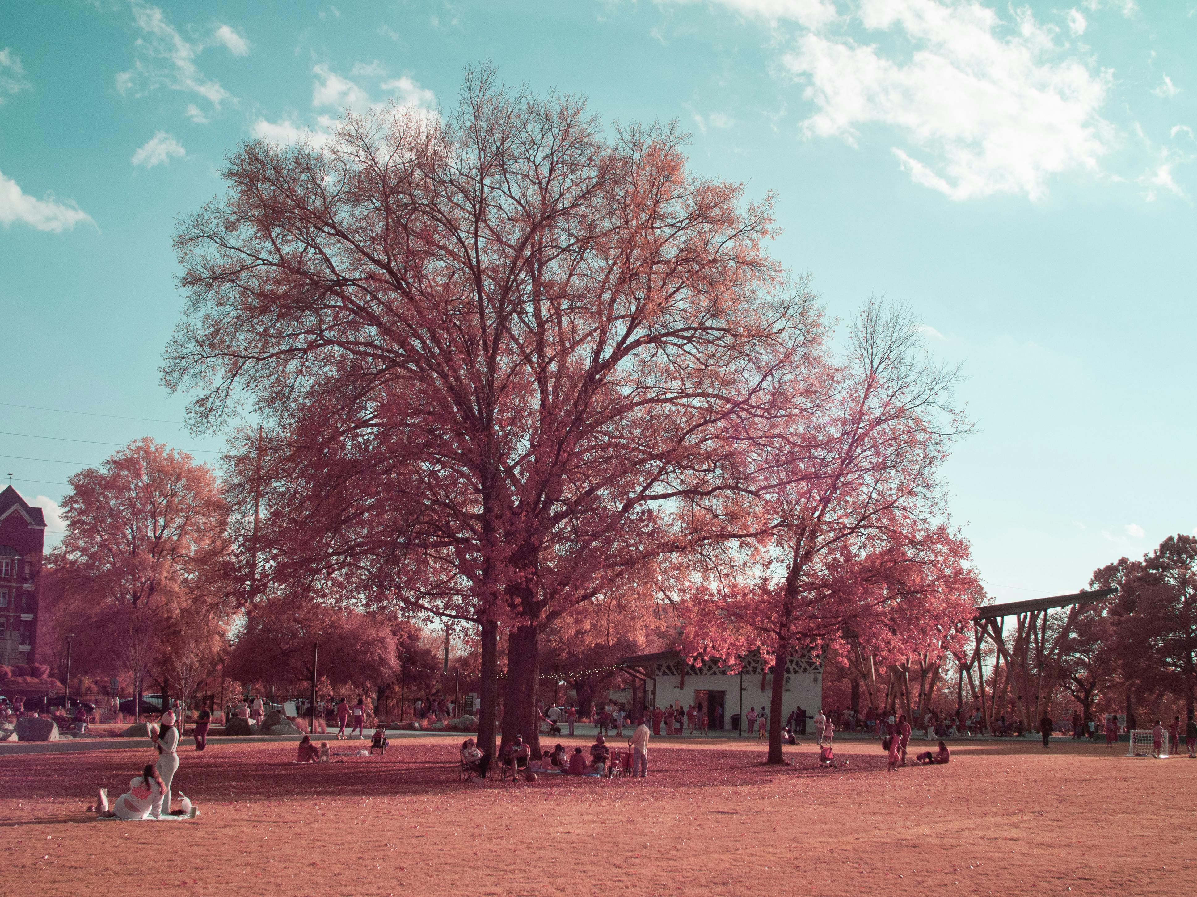 Happy+Friday+Snow+Day Photos, Download The BEST Free Happy+Friday+Snow ...