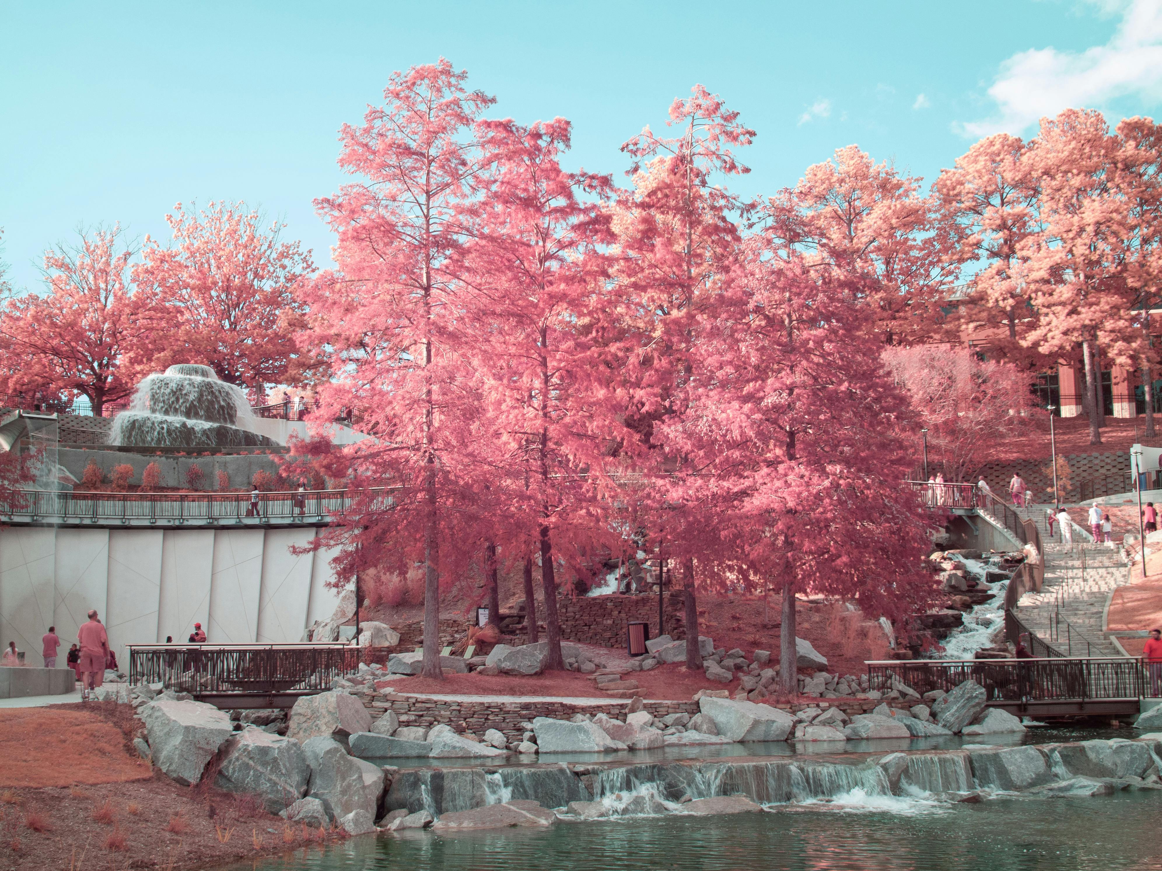 Happy+Friday+Snow+Day Photos, Download The BEST Free Happy+Friday+Snow ...